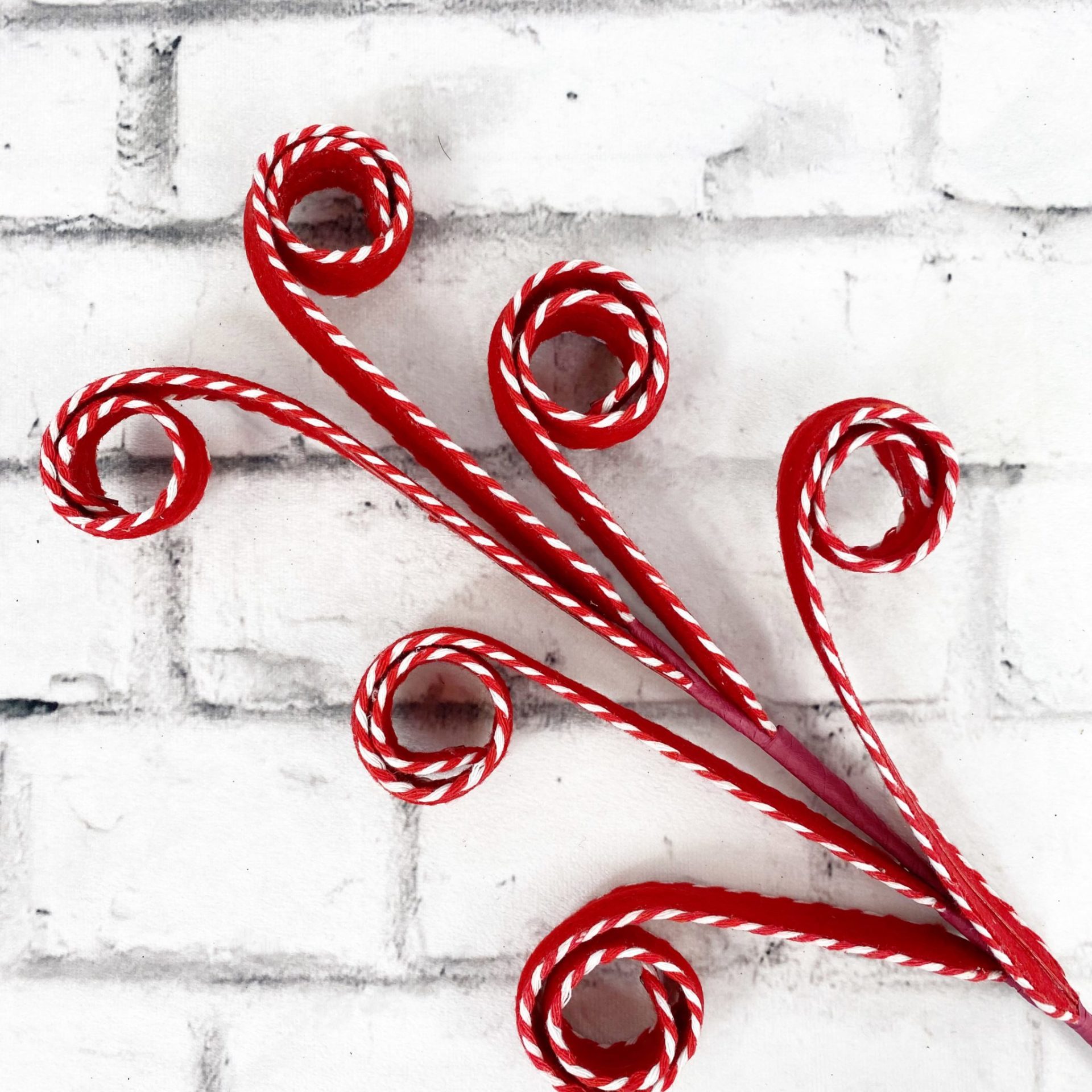 Peppermint Curly Stem - Kelea's Florals