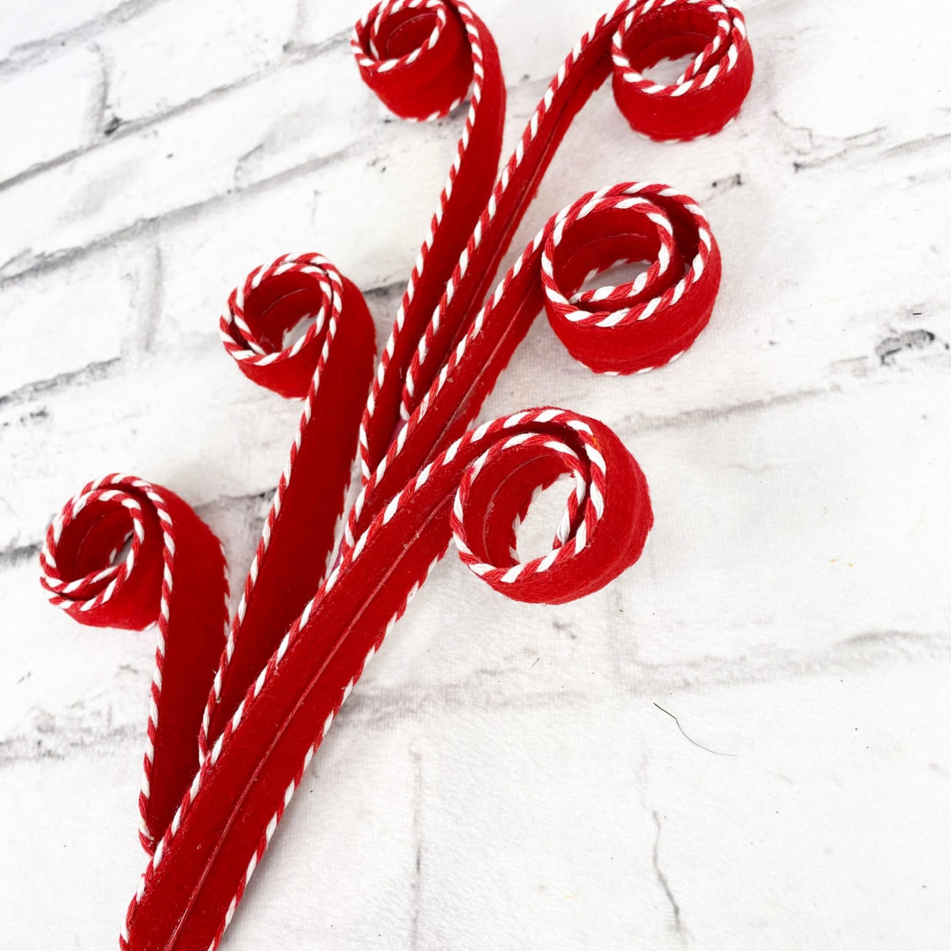 Peppermint Curly Stem - Kelea's Florals