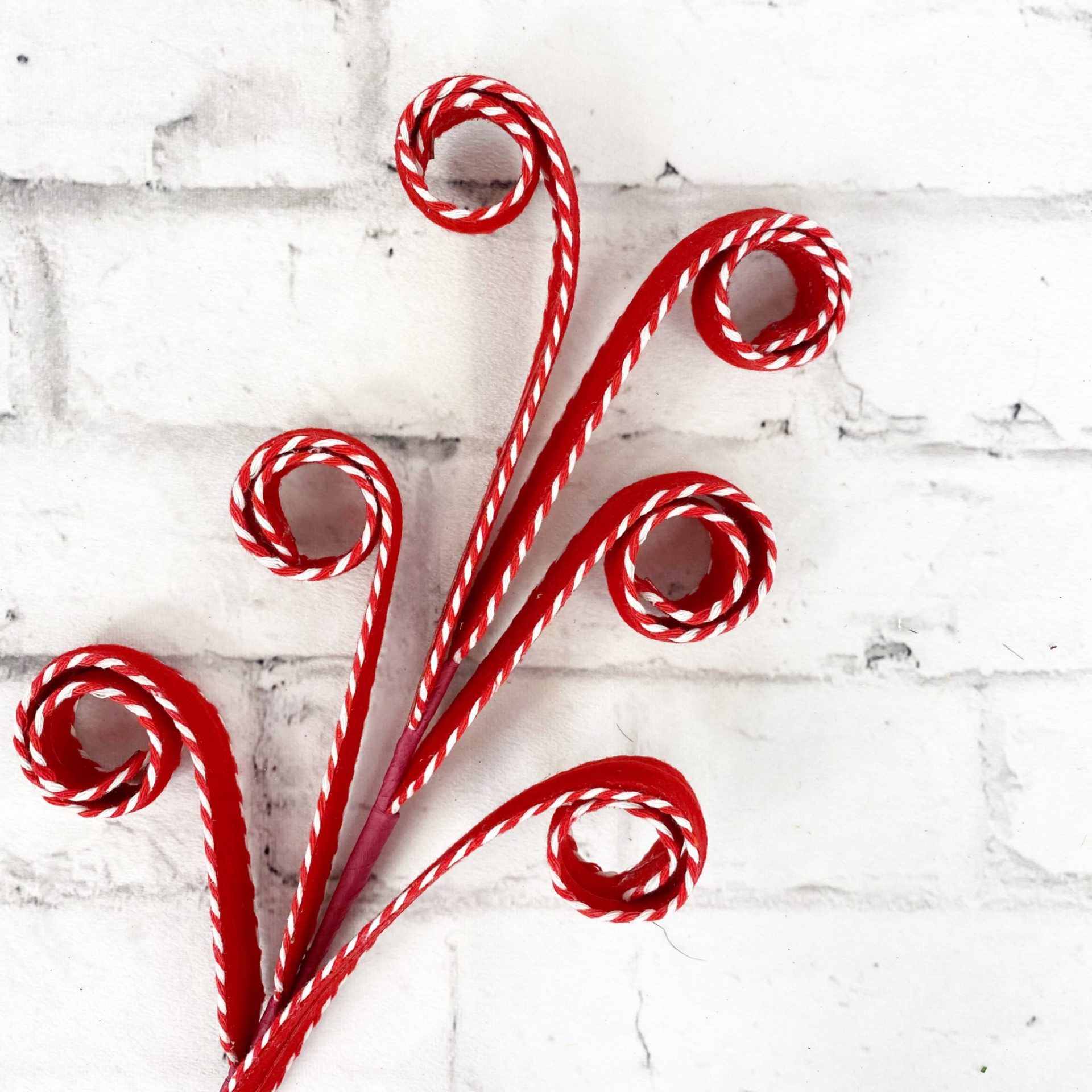 Peppermint Curly Stem - Kelea's Florals