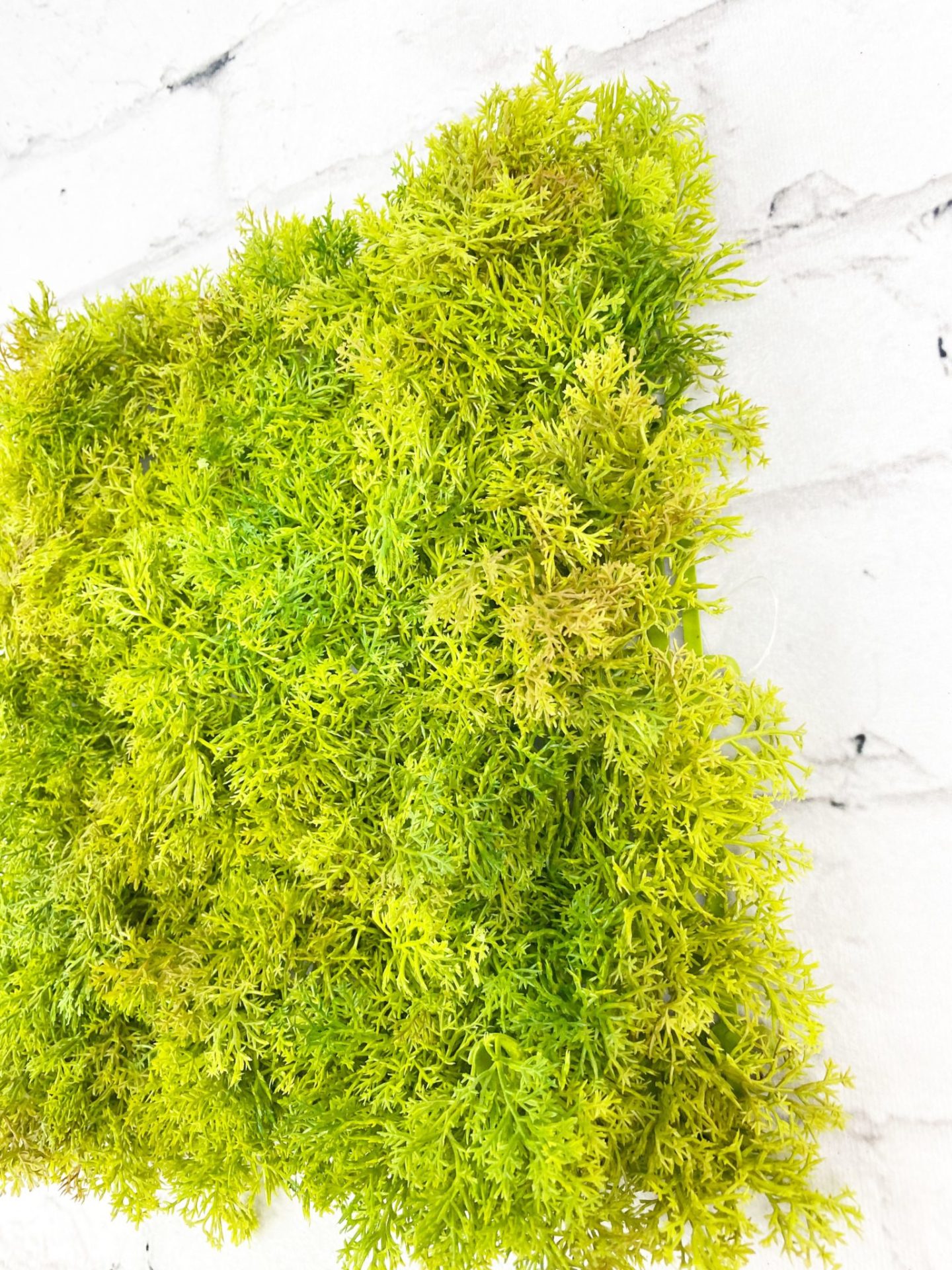 Sheet of Moss Turf - Kelea's Florals