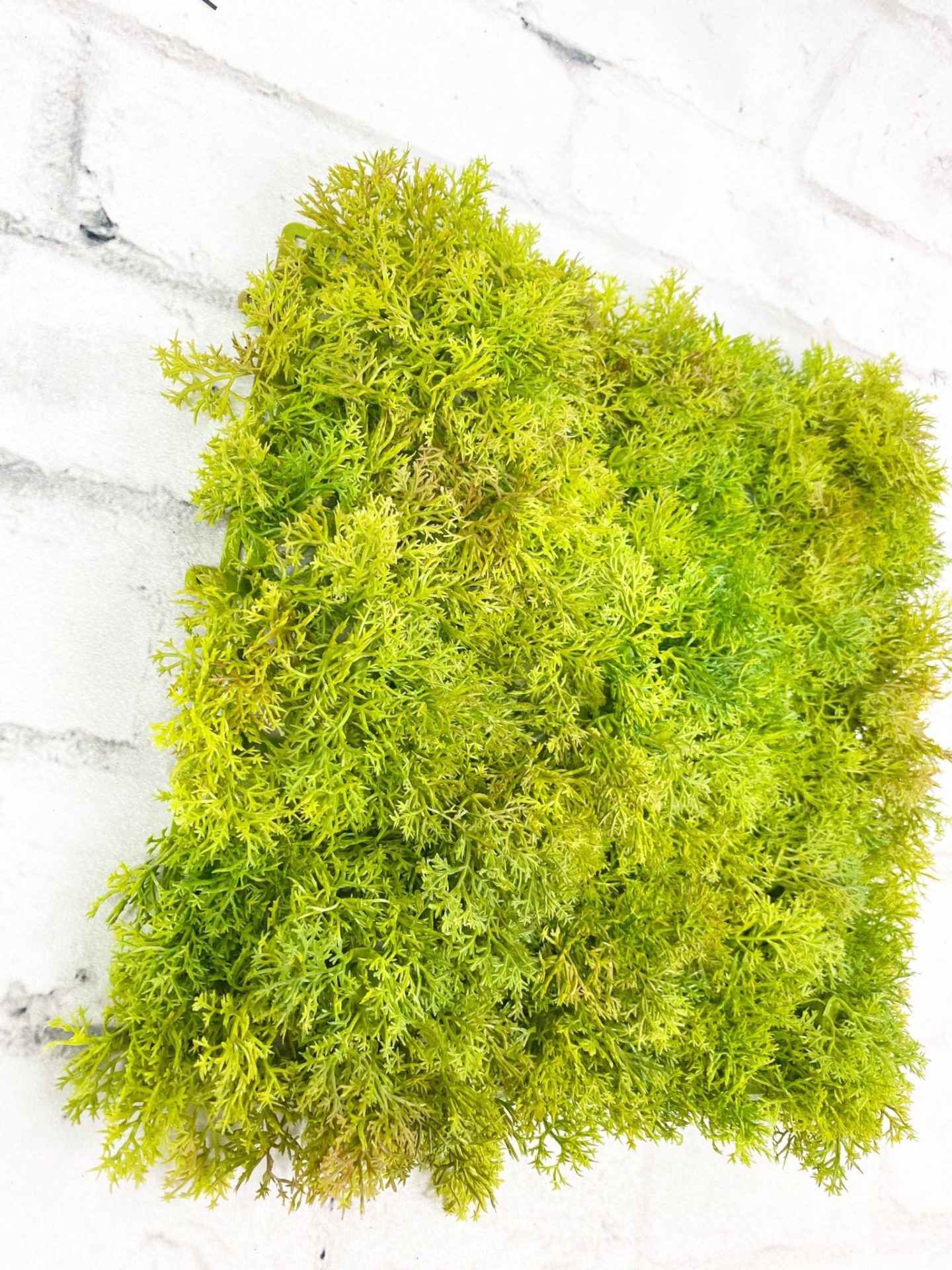 Sheet of Moss Turf - Kelea's Florals