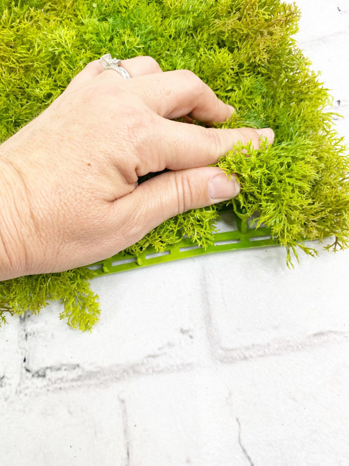 Sheet of Moss Turf - Kelea's Florals
