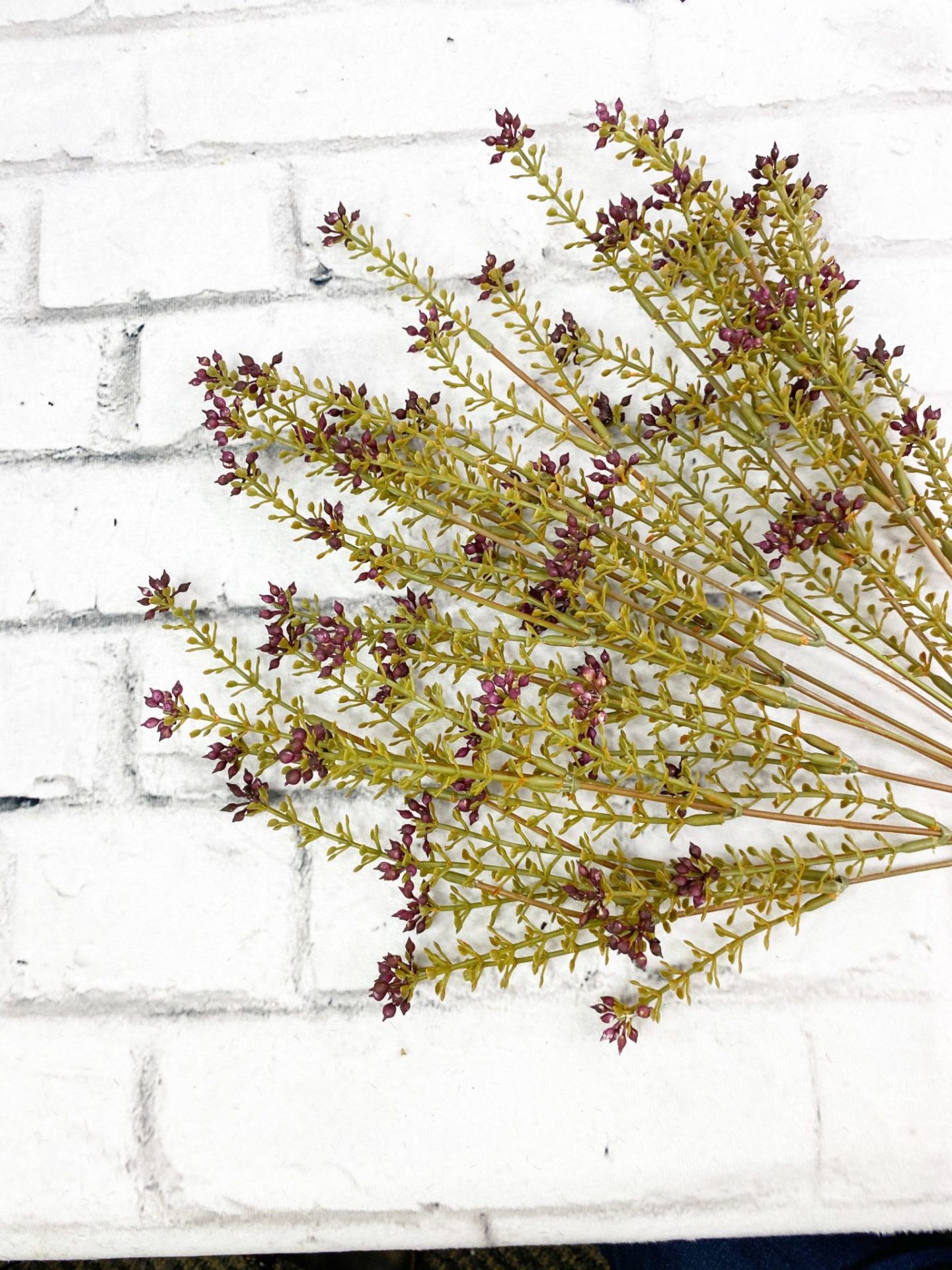 Purple Eucalyptus Seeds Bush - Kelea's Florals