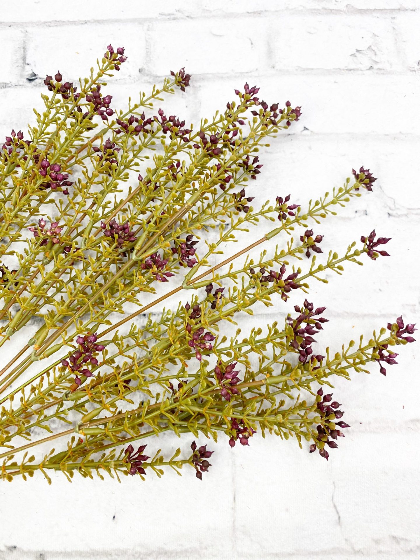 Purple Eucalyptus Seeds Bush - Kelea's Florals