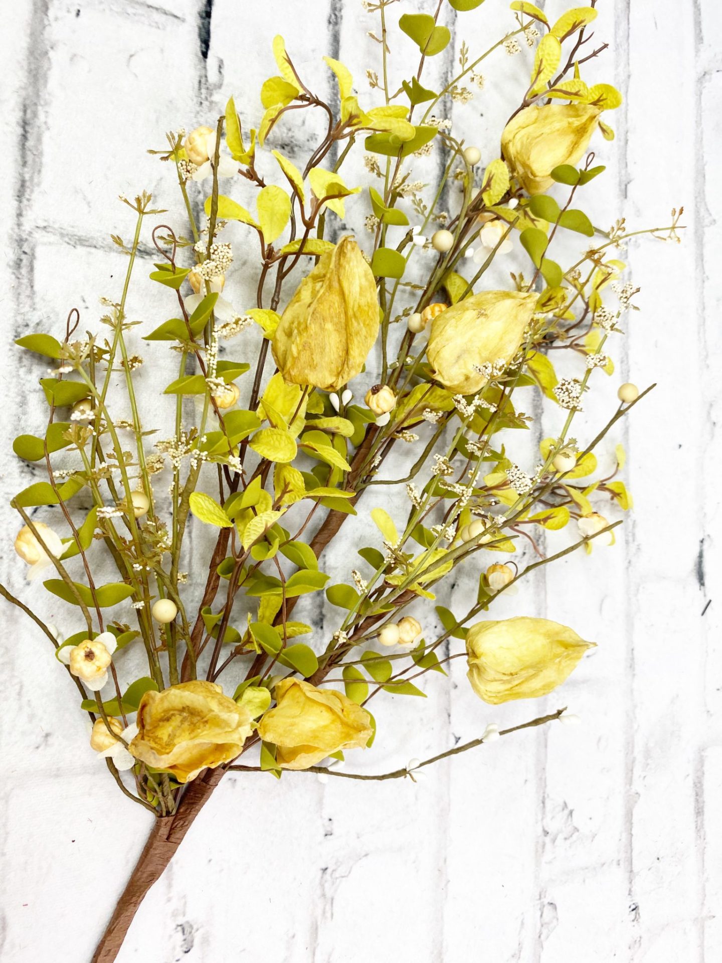 Cream Chinese Lantern Stem - Kelea's Florals