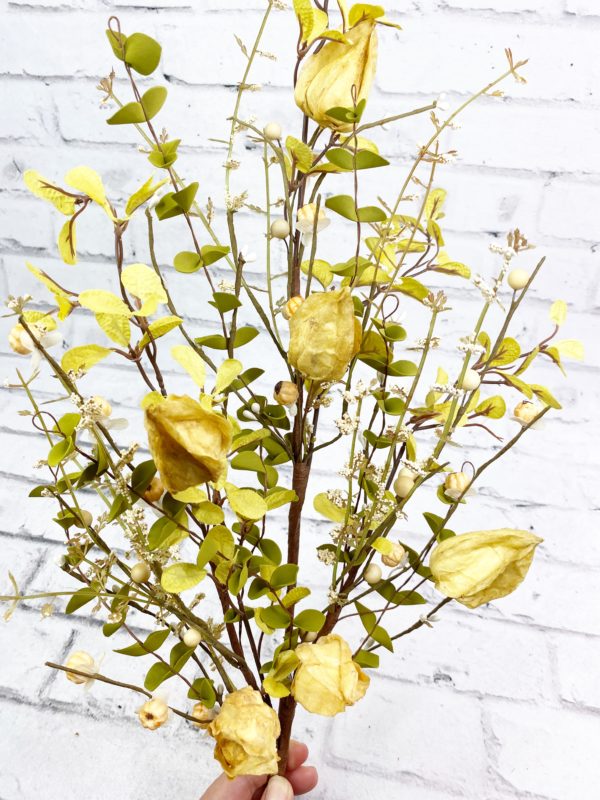 Cream Chinese Lantern Stem - Kelea's Florals