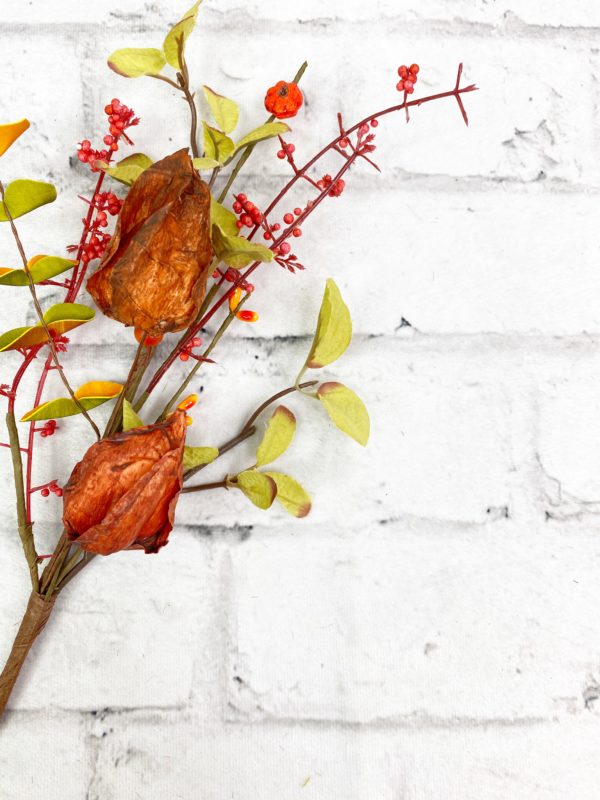Chinese Lantern Pick - Kelea's Florals