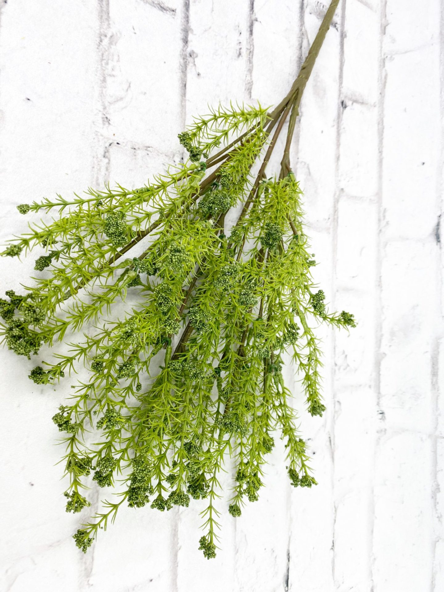 Berried Spring Rye Bush - Kelea's Florals