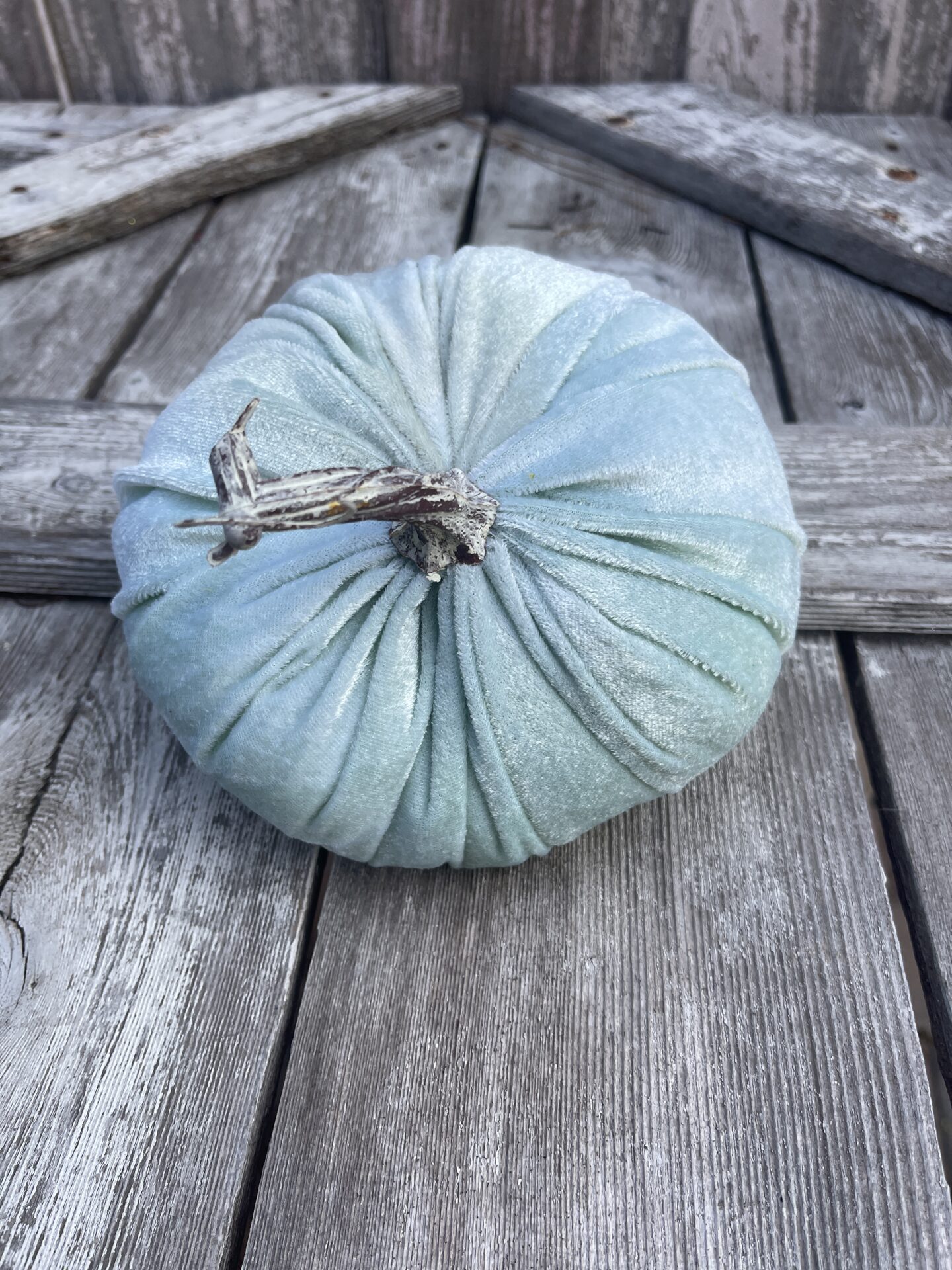 Mint Green Velvet Pumpkin - Kelea's Florals