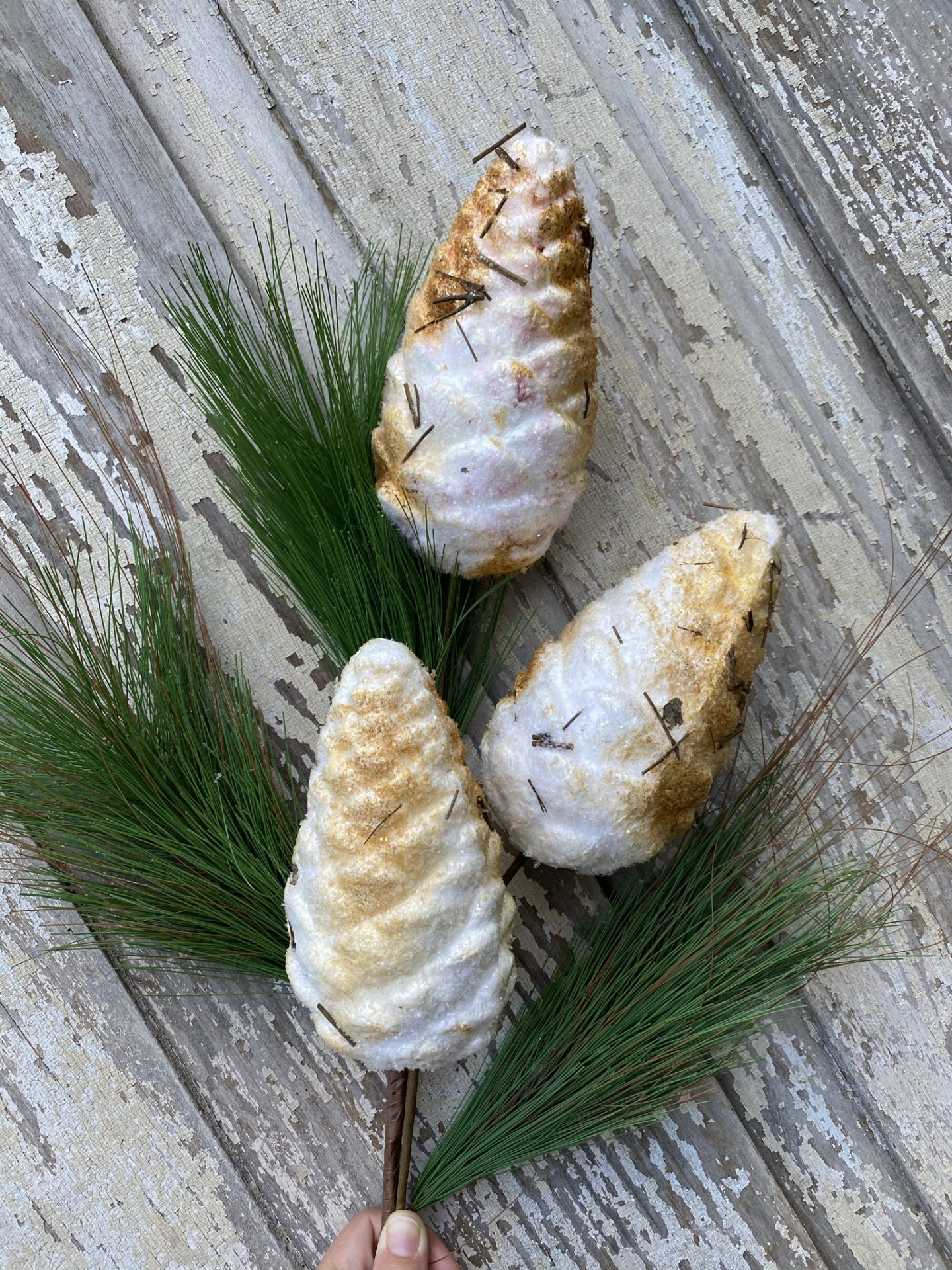Pinecone Stem - Kelea's Florals