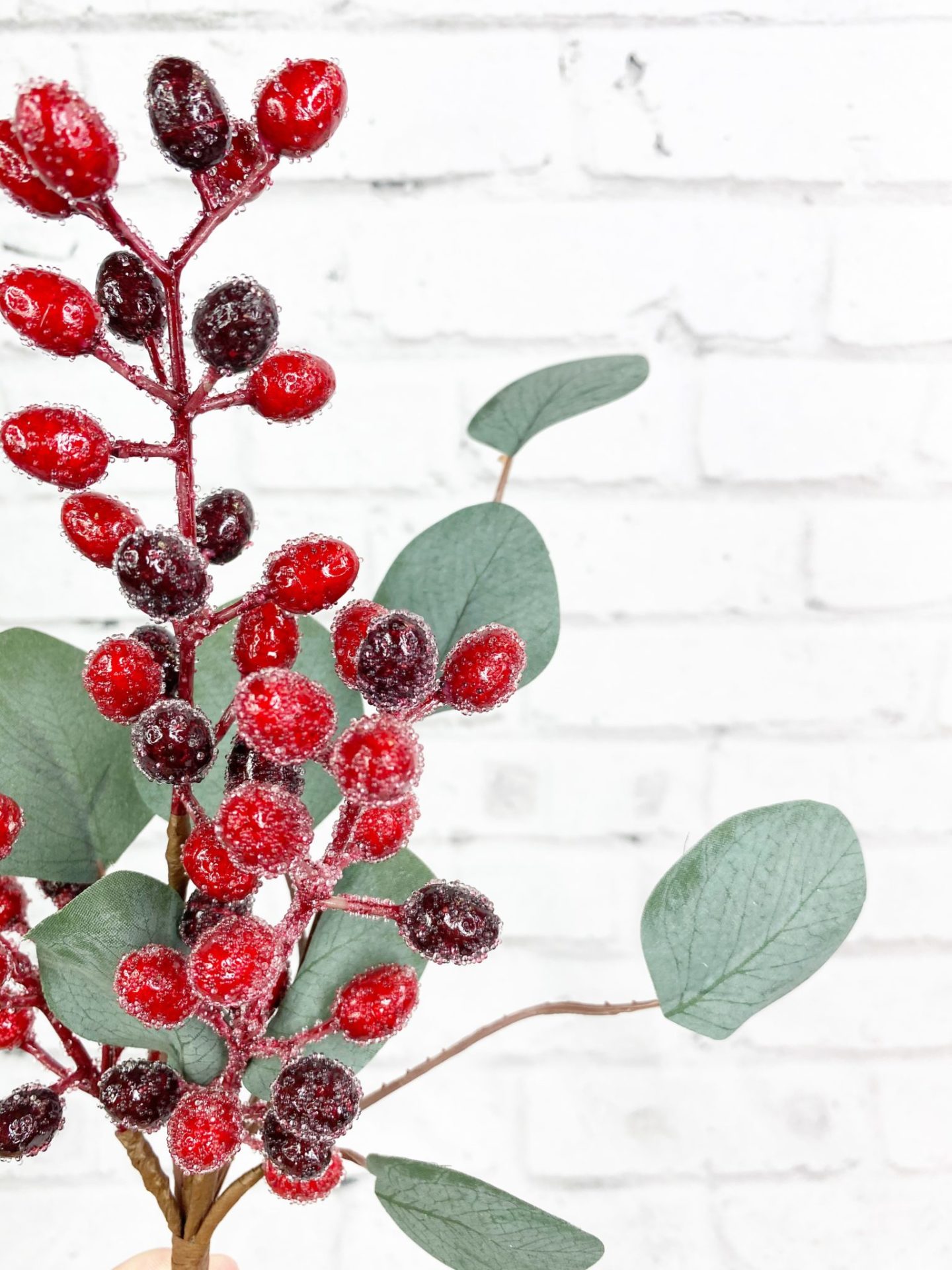 Red Iced Berry and Eucalyptus Pick - Kelea's Florals