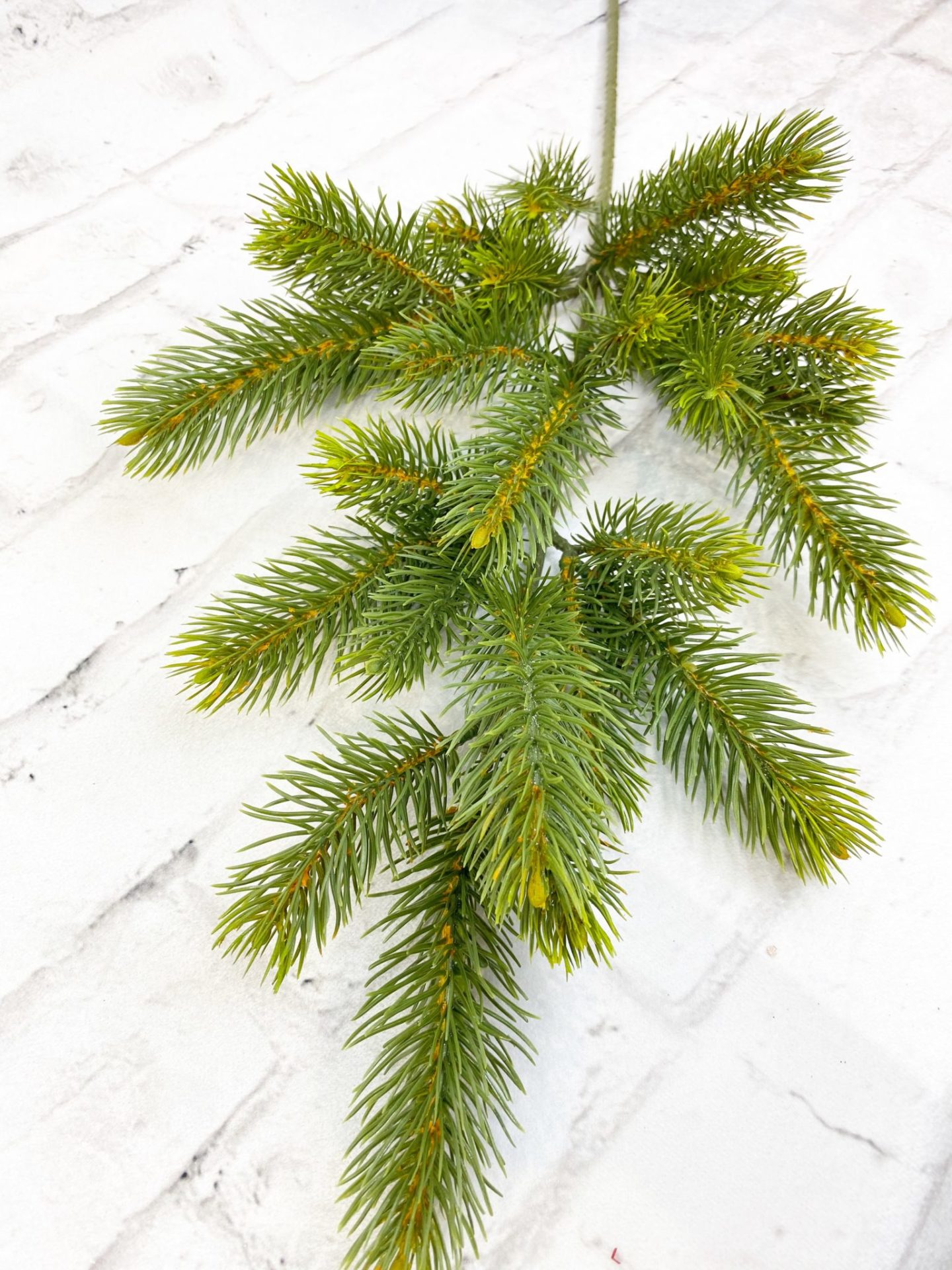 Angel Pine Stem - Kelea's Florals