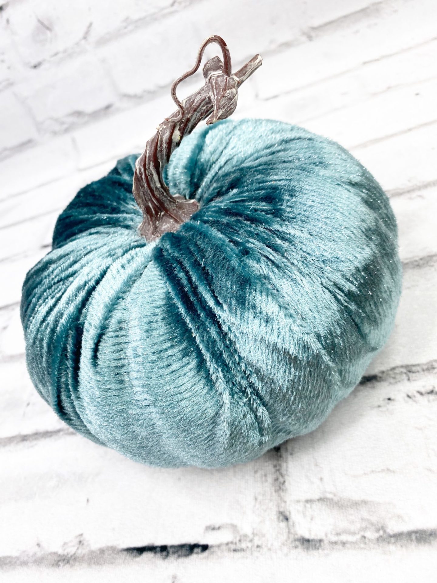Dark Blue Velvet Pumpkin - Kelea's Florals