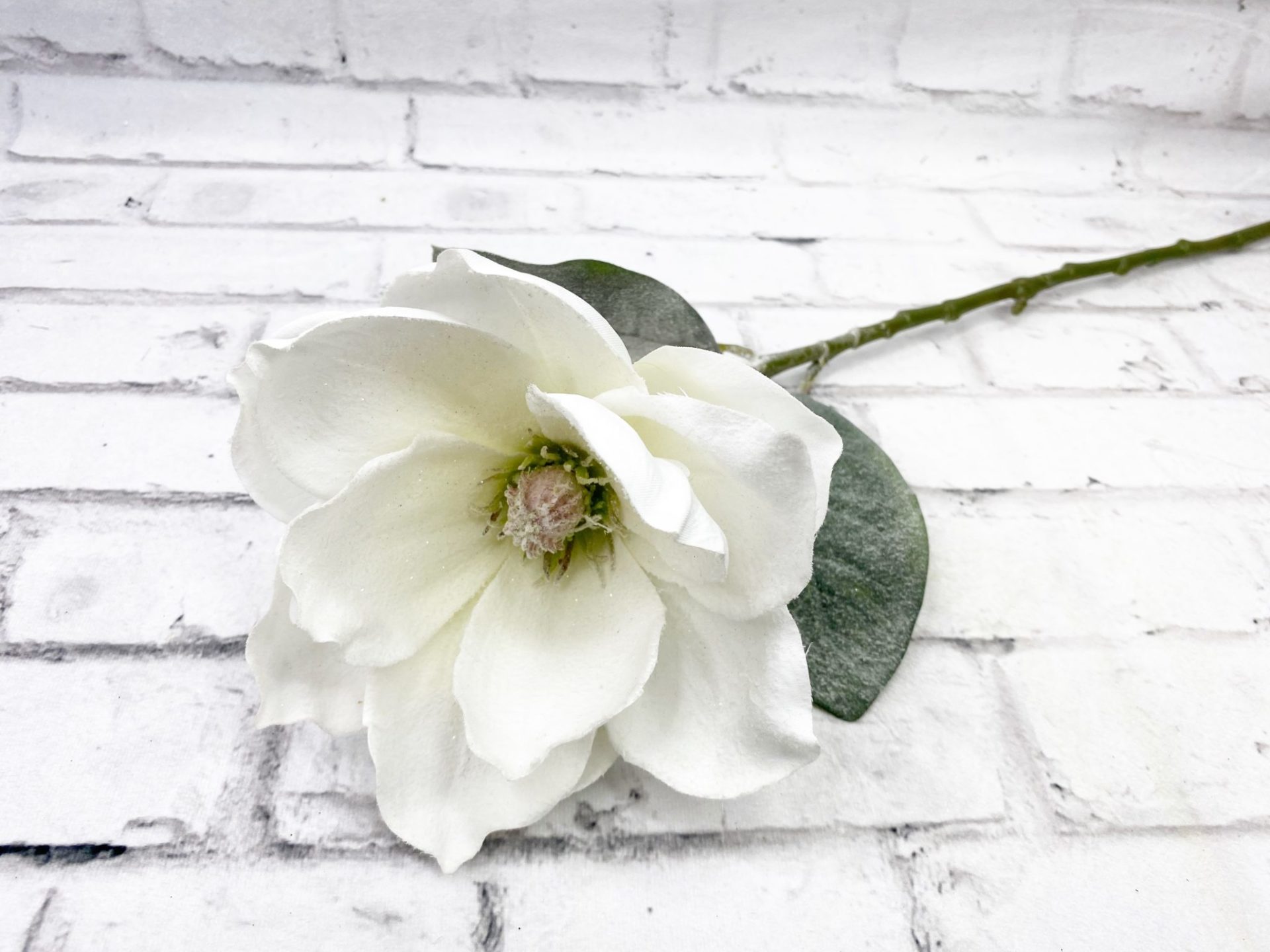 Snowy Magnolia Stem - Kelea's Florals