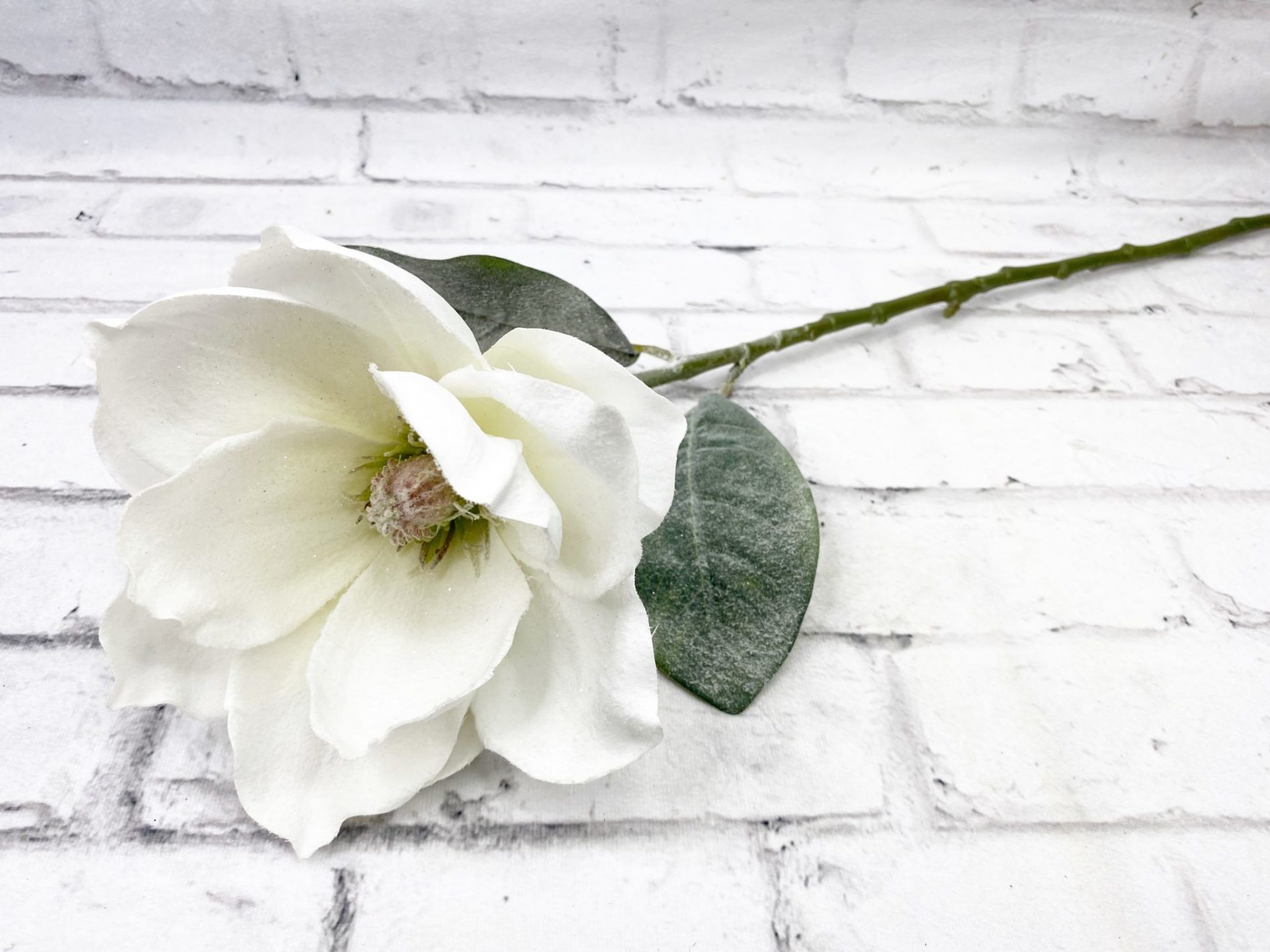 Snowy Magnolia Stem - Kelea's Florals