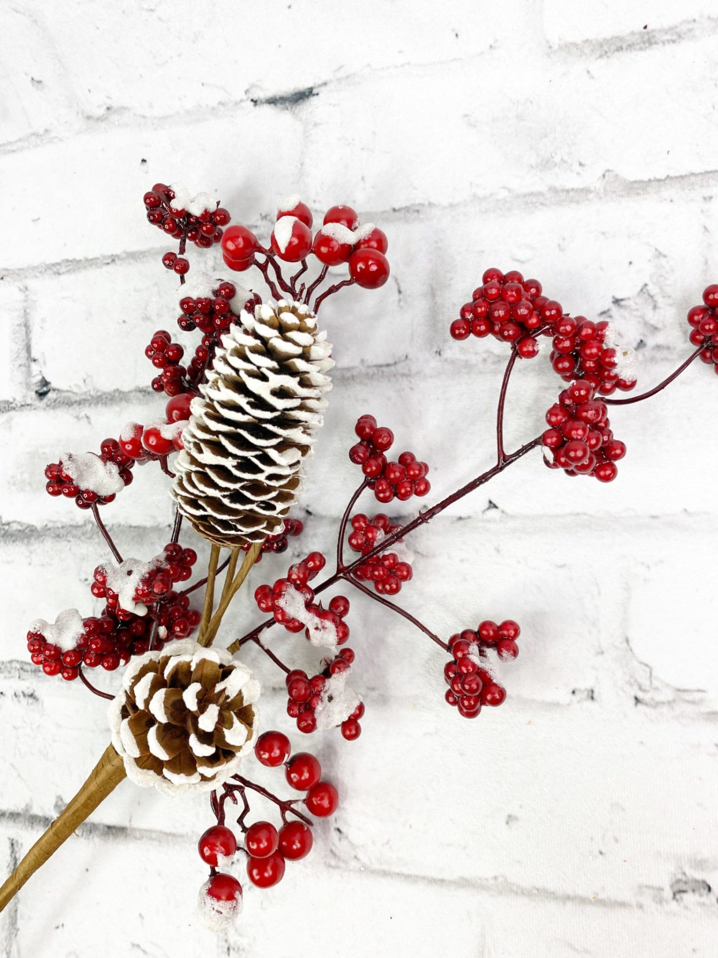 Snow Berry and Pine Cone Stem - Kelea's Florals
