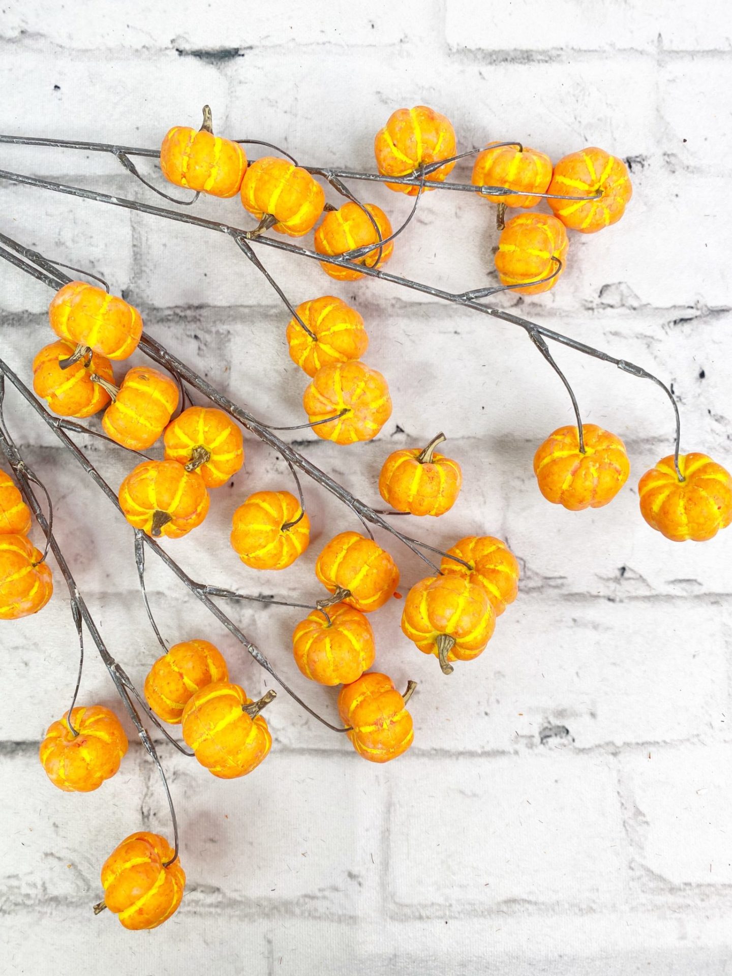 Orange Pumpkin Bundle - Kelea's Florals