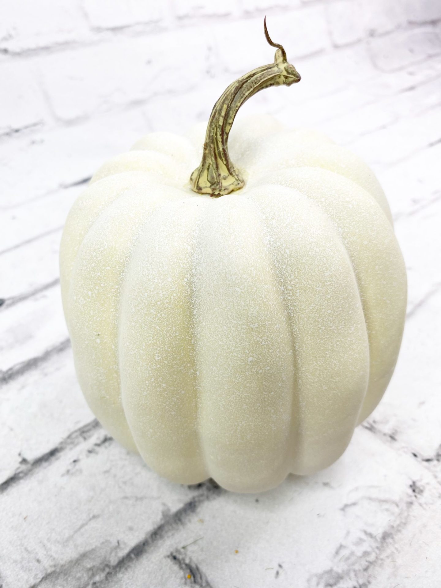 Medium Cream Pumpkin - Kelea's Florals