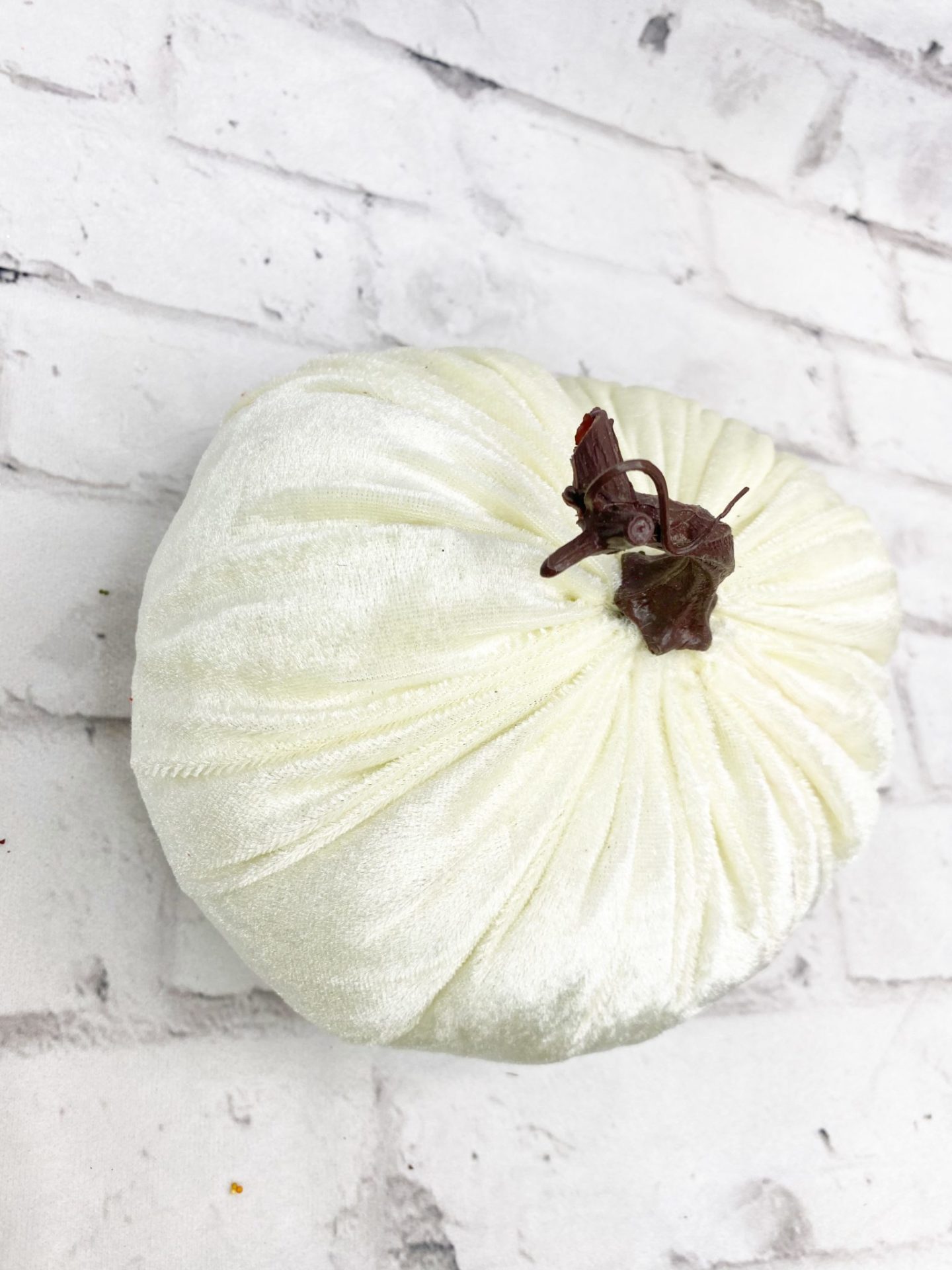 Soft Cream Velvet Pumpkin - Kelea's Florals