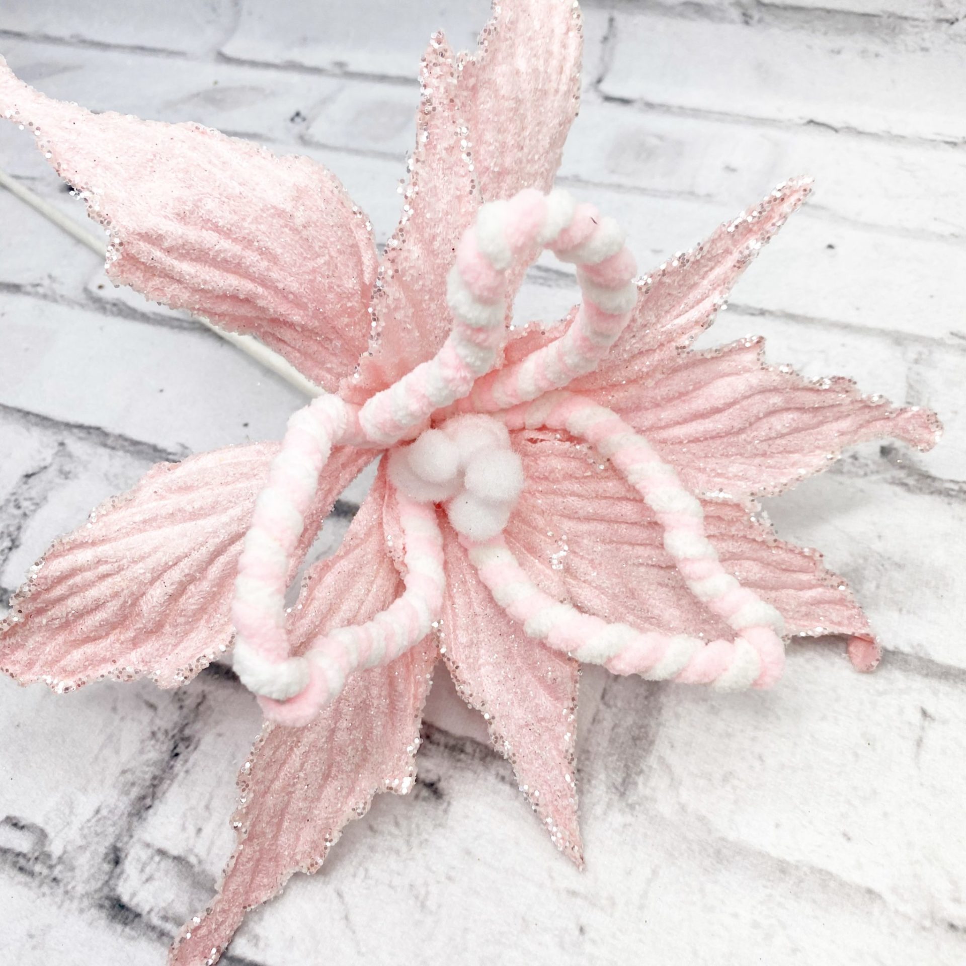 Pink Snow Peppermint Poinsettia Stem - Kelea's Florals