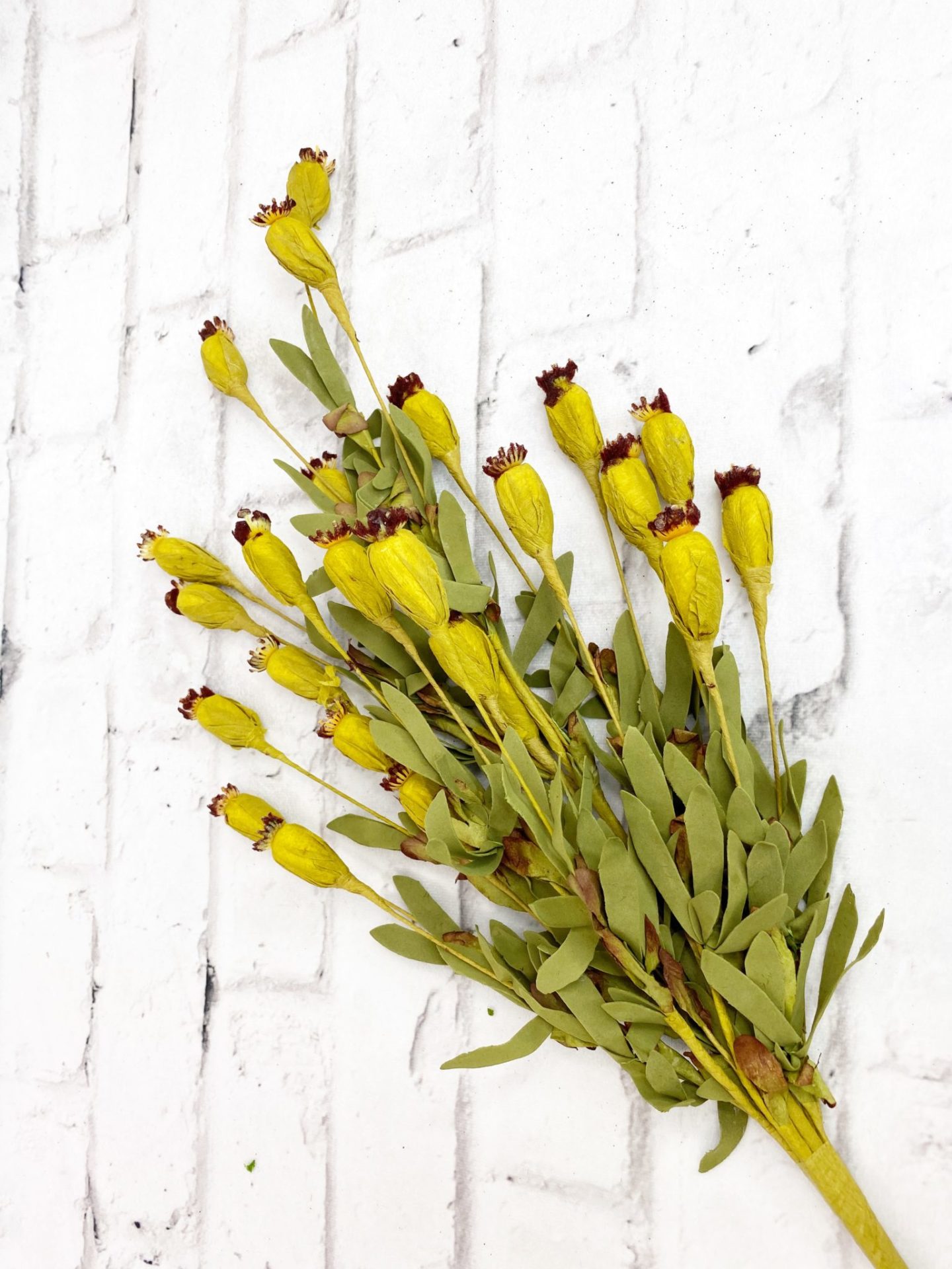 Poppy Pods Bush - Kelea's Florals