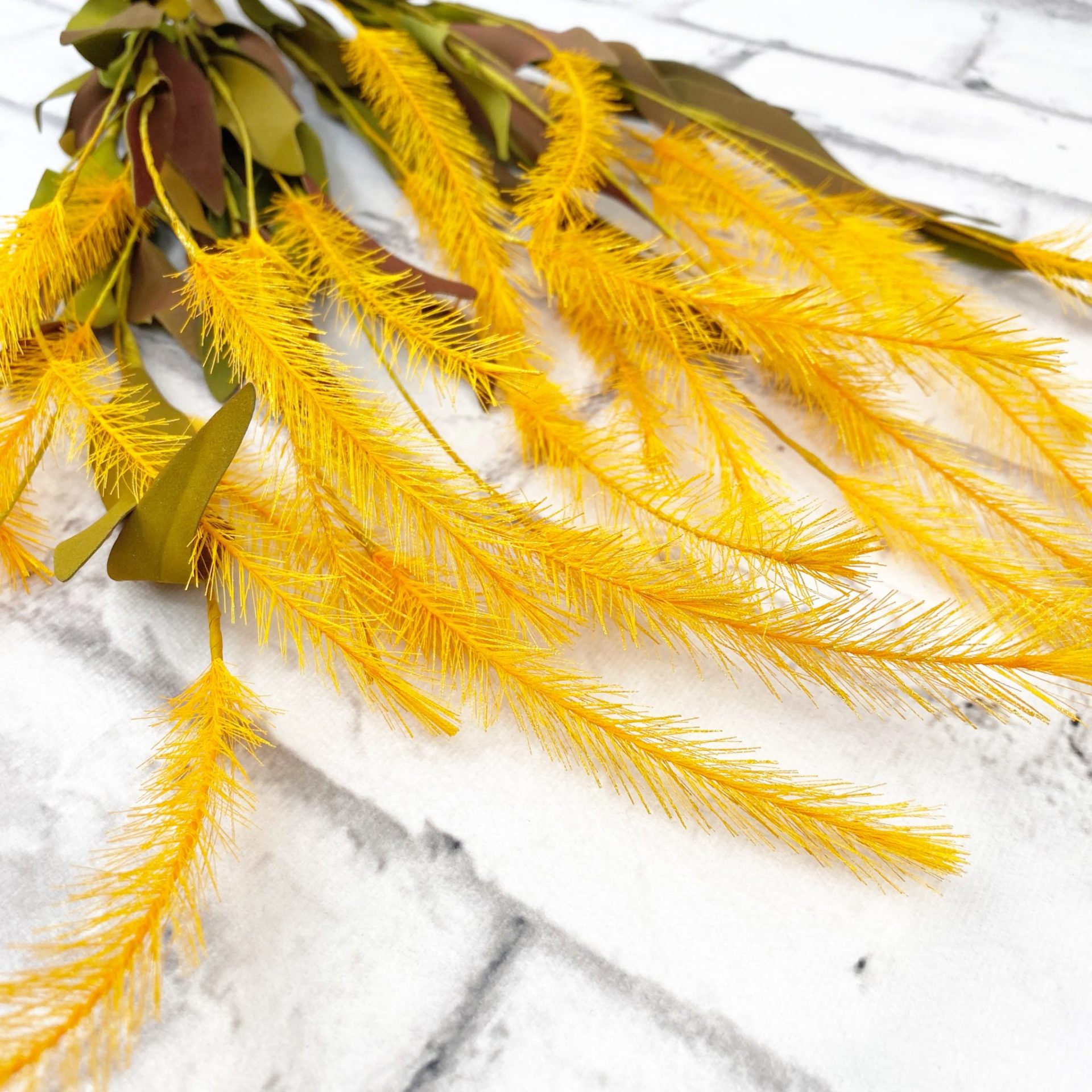 Orange Feather Bush - Kelea's Florals