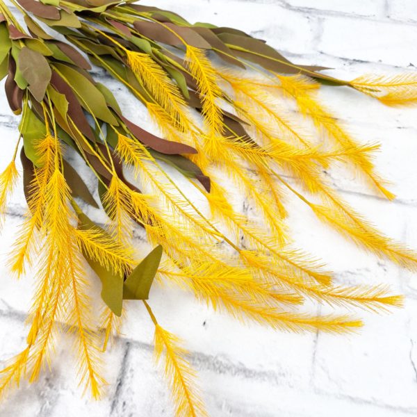 Orange Feather Bush - Kelea's Florals
