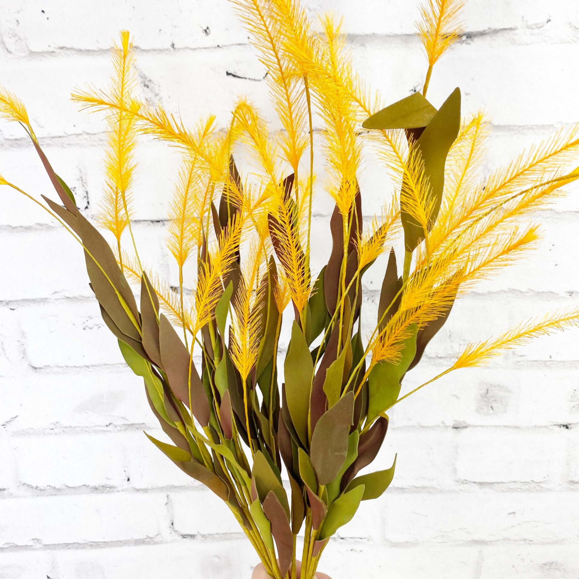 Orange Feather Bush - Kelea's Florals