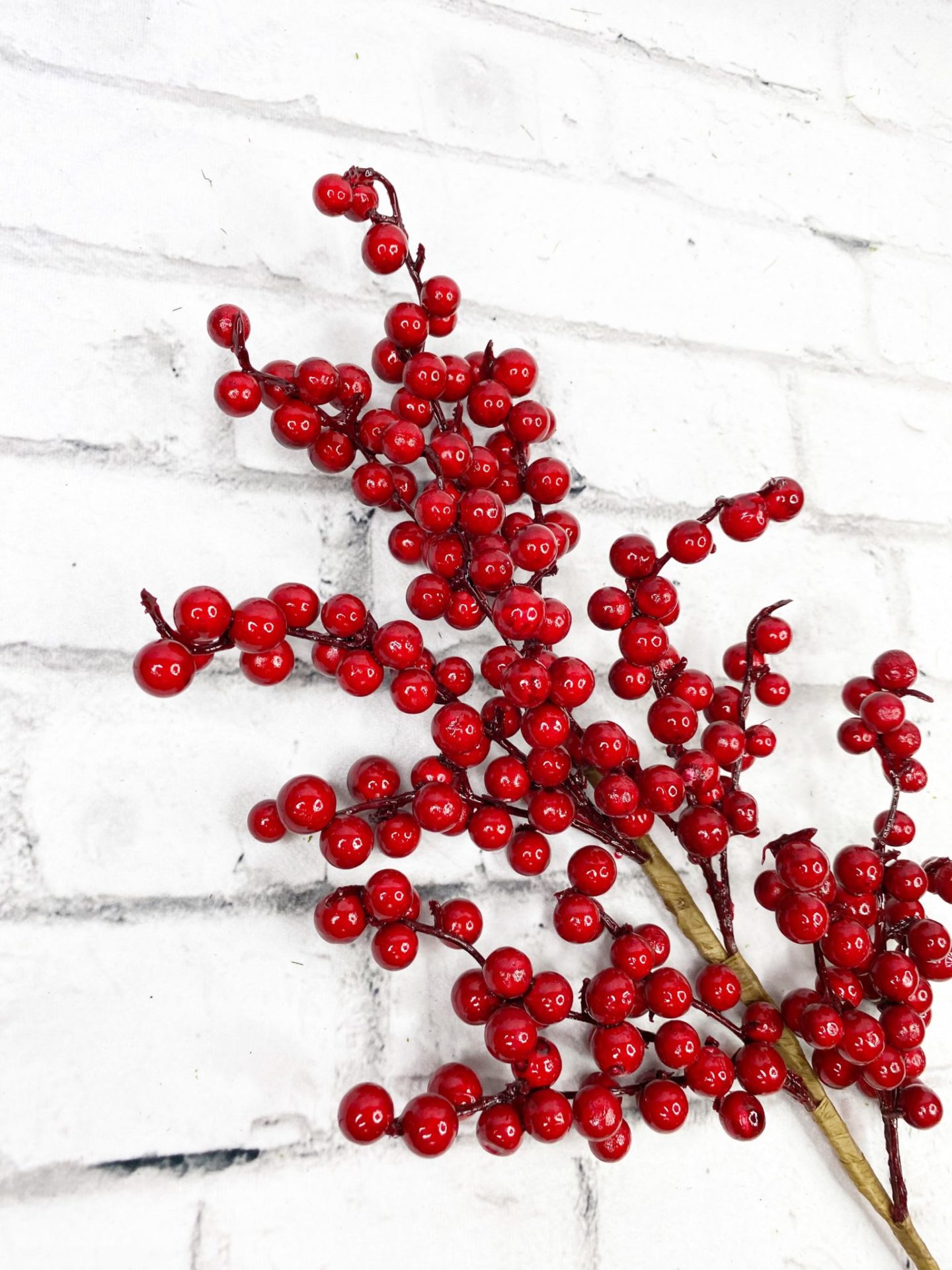 Red Berry Stem - Kelea's Florals