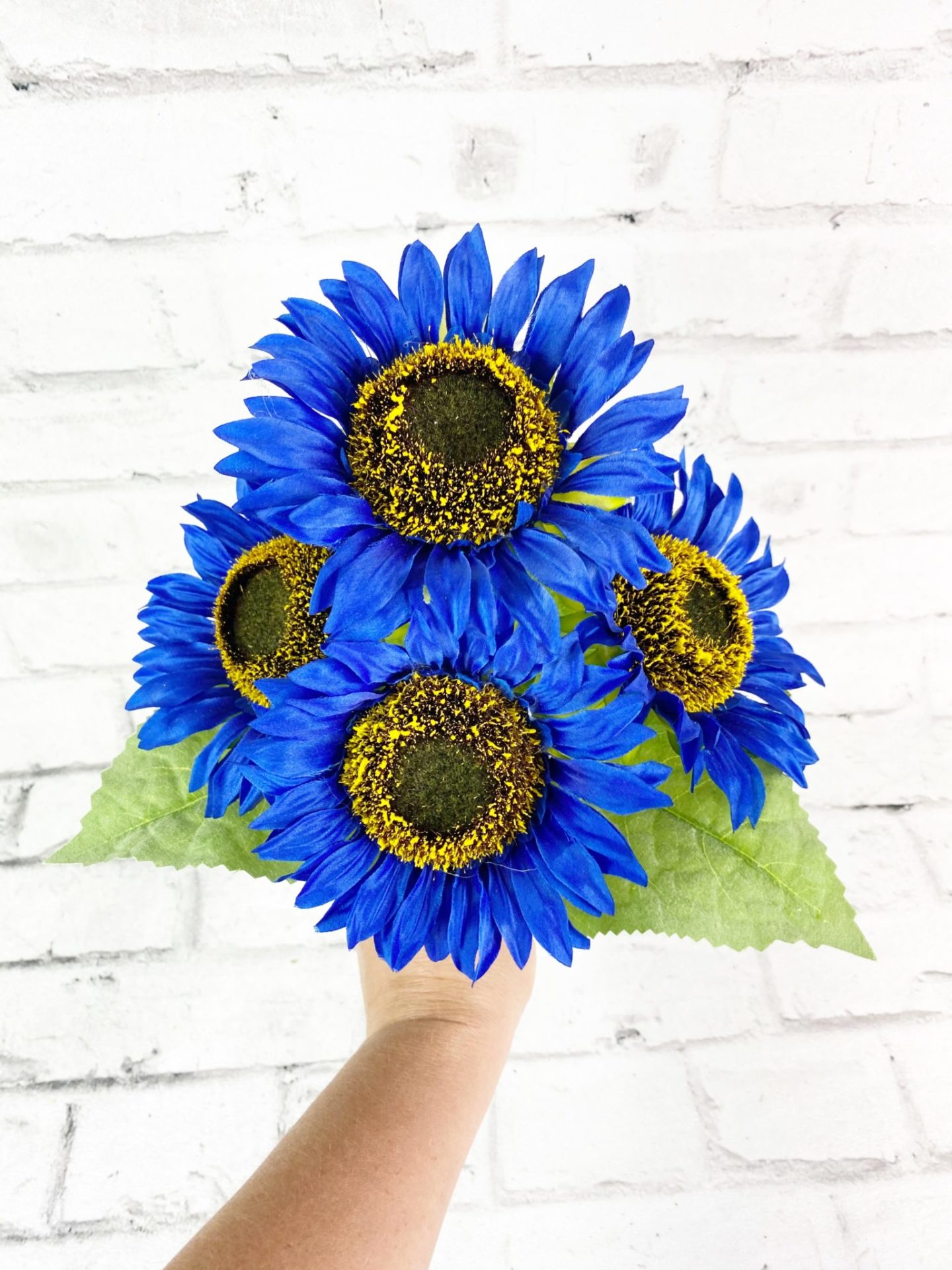 Blue Sunflower Bush - Kelea's Florals