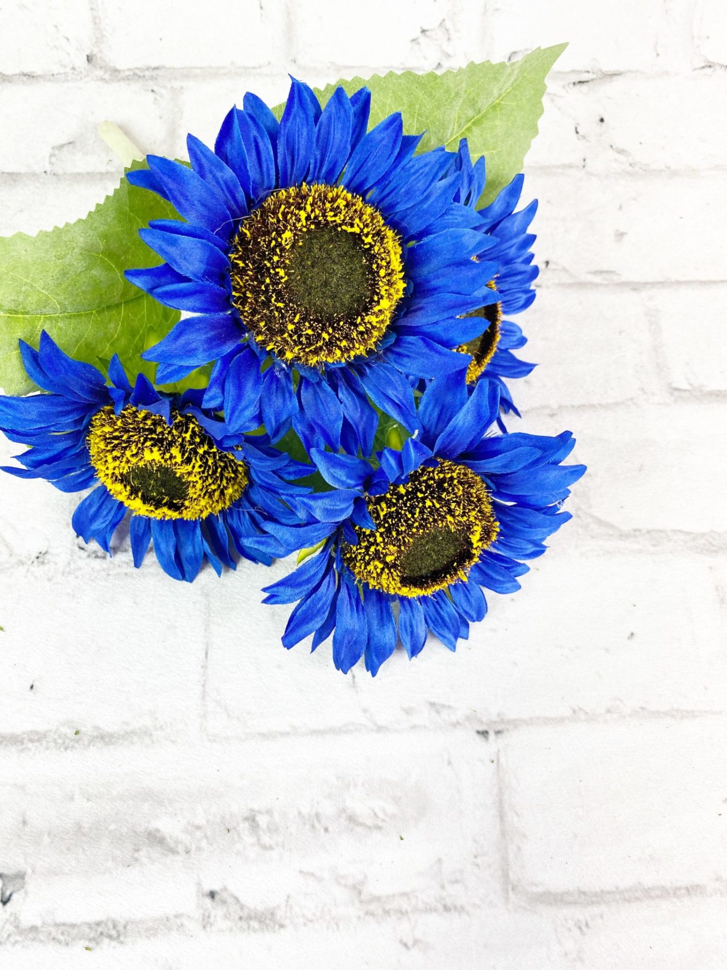 Blue Sunflower Bush - Kelea's Florals