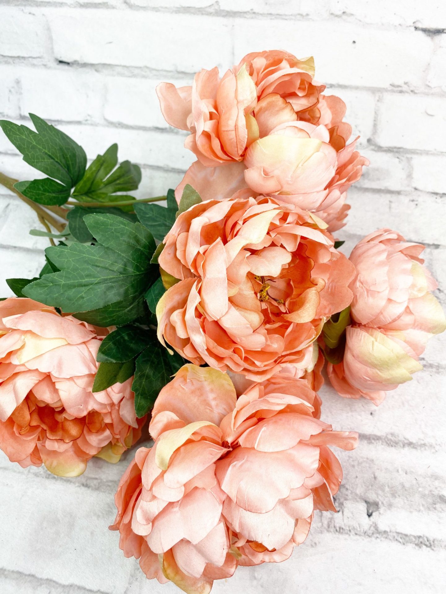 Peach Peony Bush - Kelea's Florals