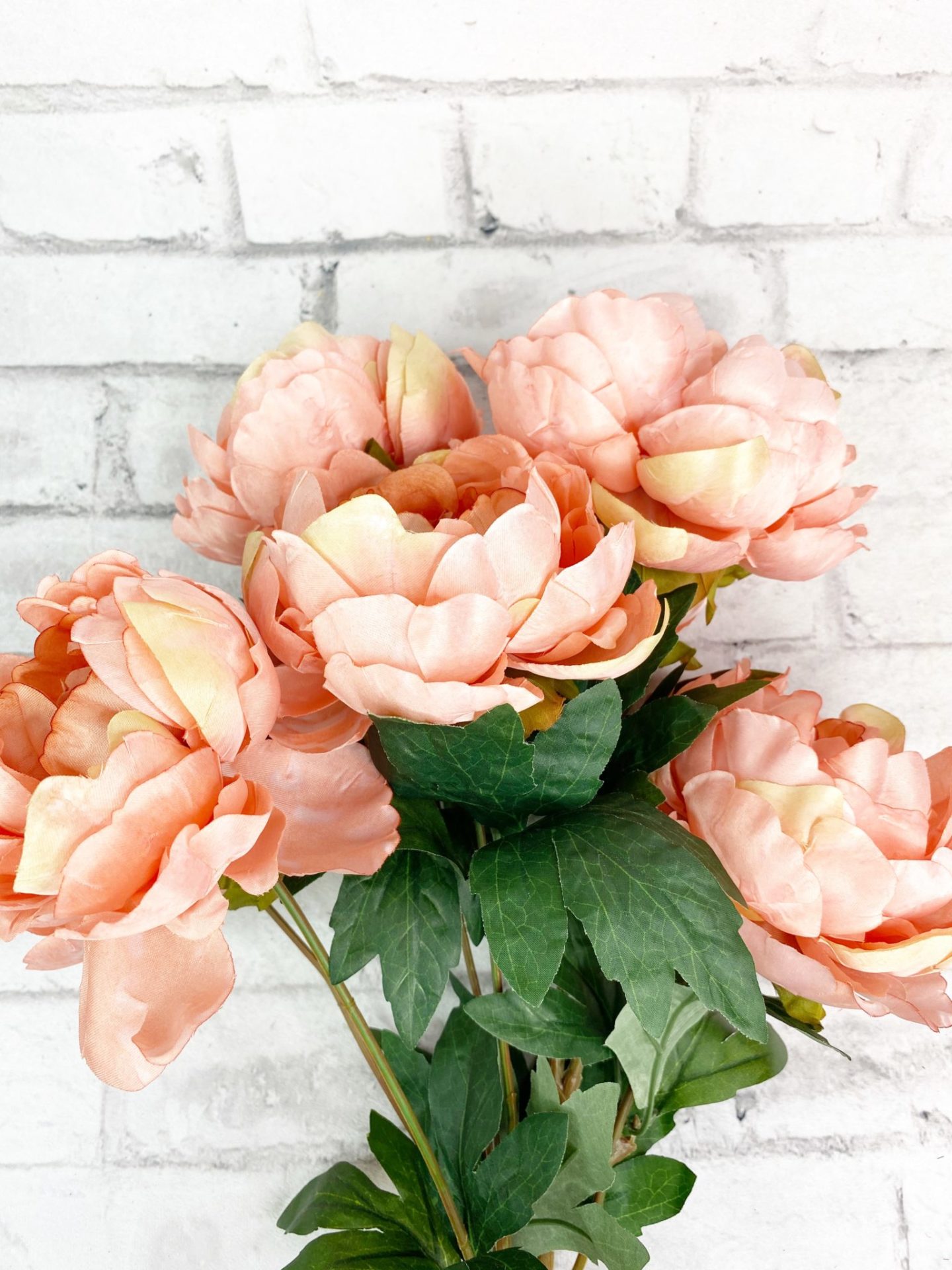 Peach Peony Bush - Kelea's Florals