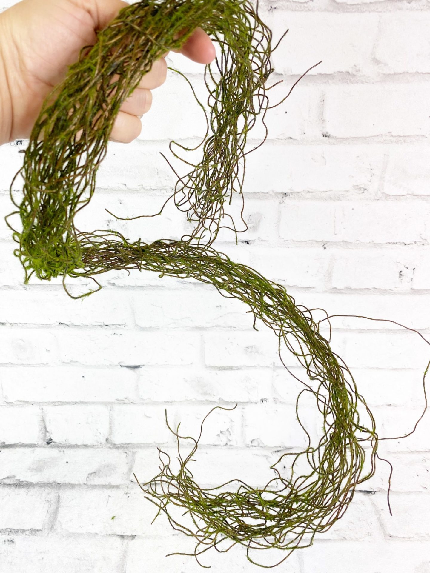 Fuzzy Vine Twigs - Kelea's Florals