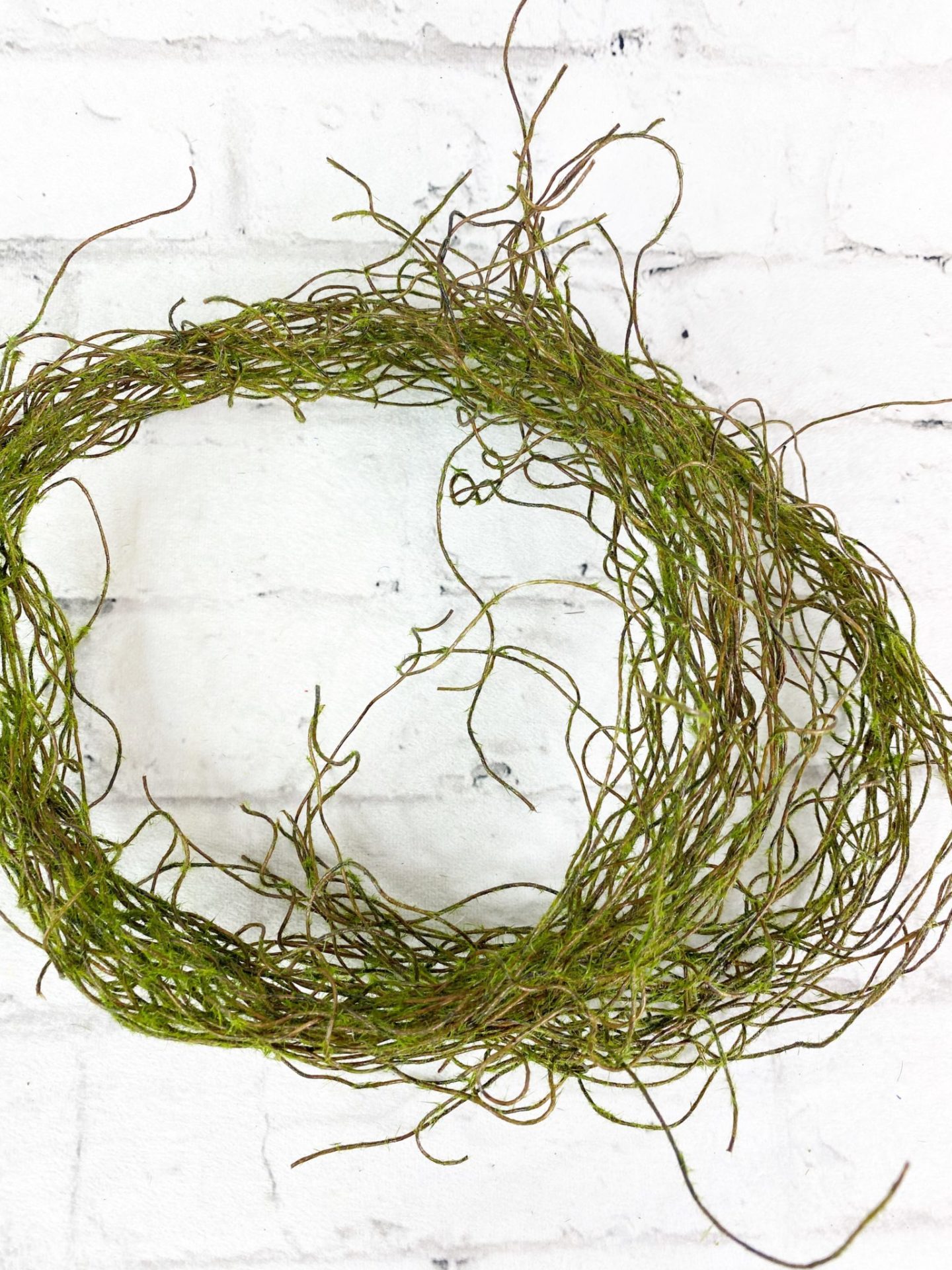 Fuzzy Vine Twigs - Kelea's Florals