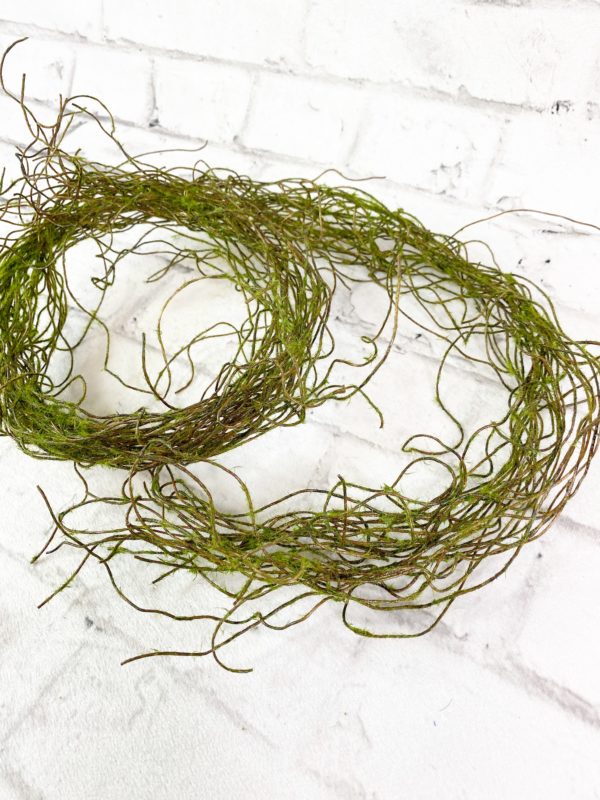 Fuzzy Vine Twigs - Kelea's Florals