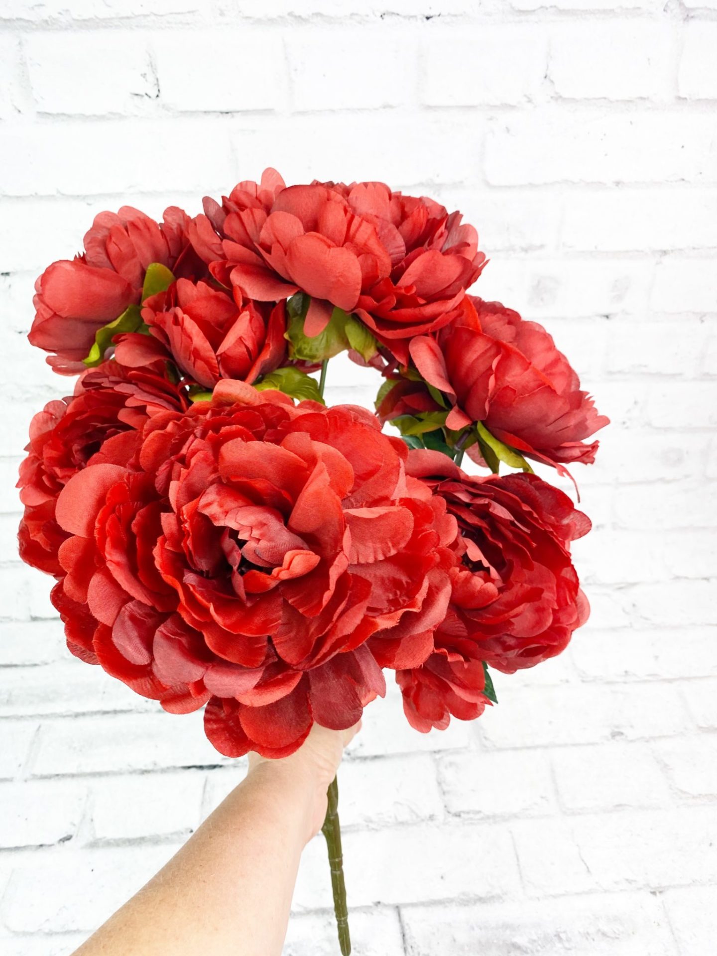 Red Peony Bush - Kelea's Florals