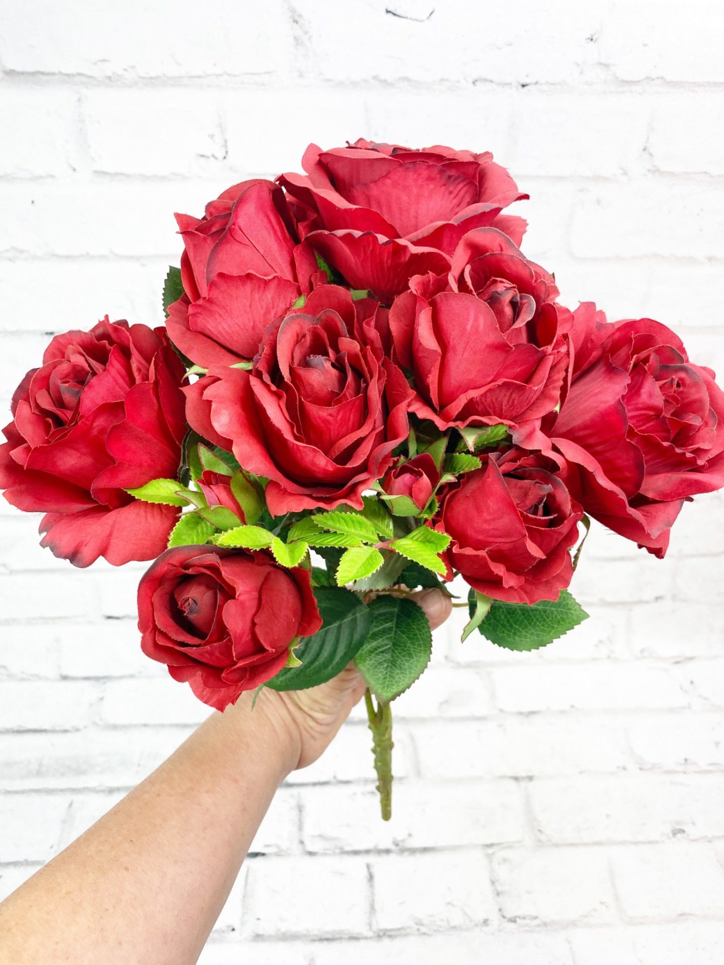 Red Rose Bud Bush - Kelea's Florals