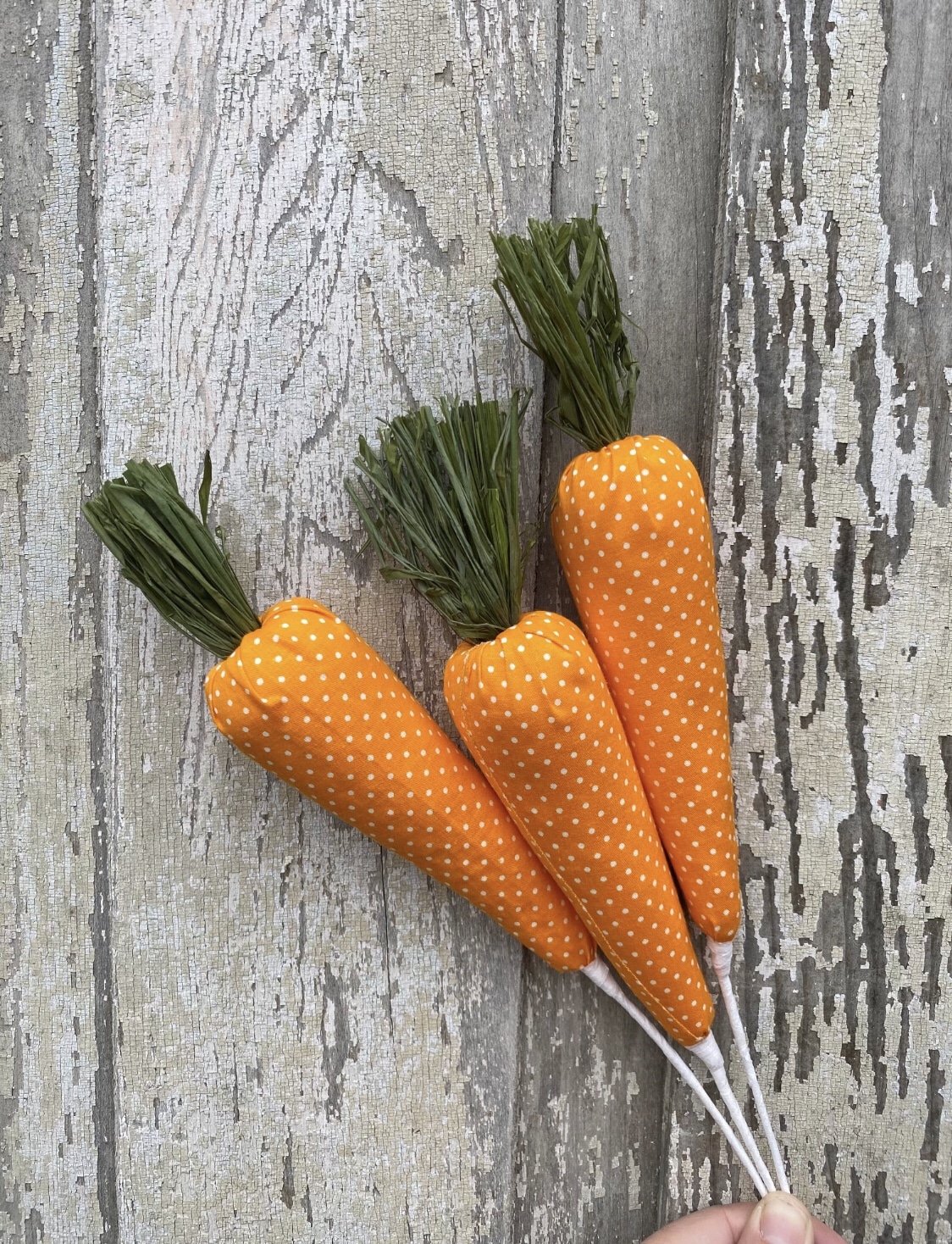 Carrot with Polka Dots for Easter - Kelea's Florals