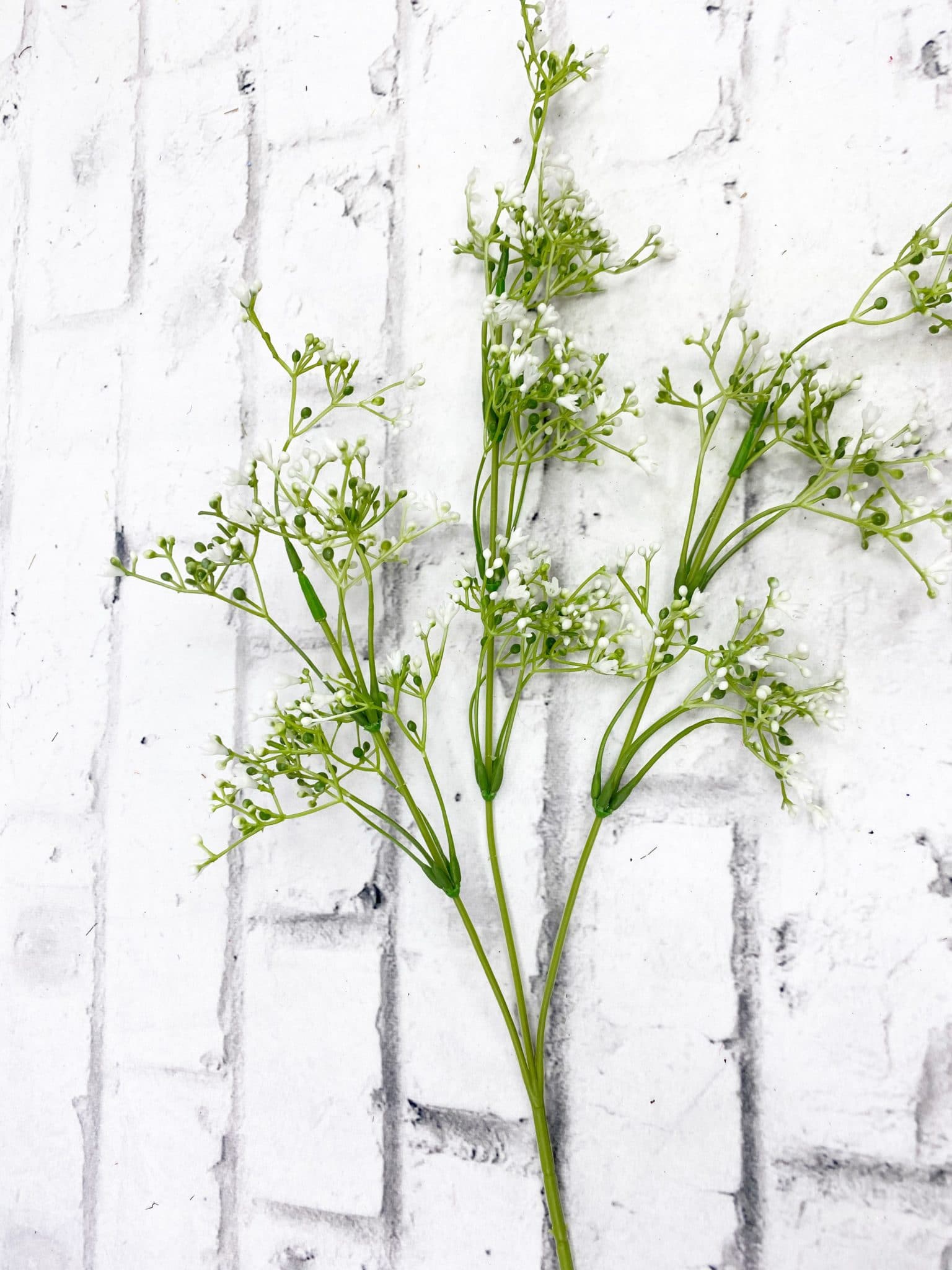 White 27" Gypso Stem - Kelea's Florals