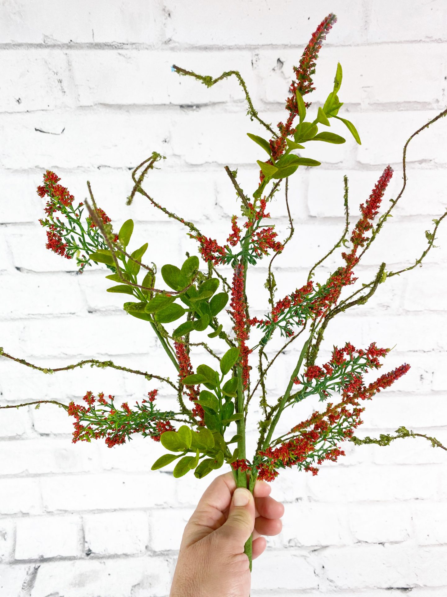 Red Cattail Stem - Kelea's Florals