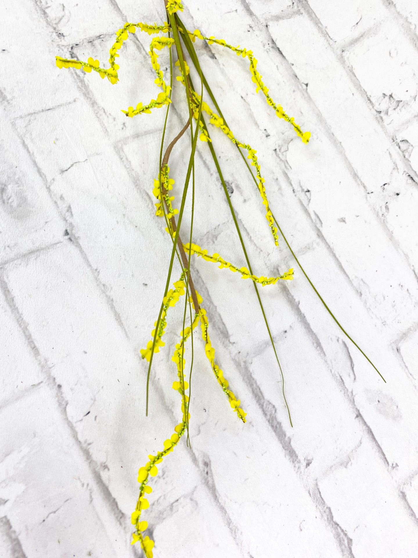 Yellow Twig Stem - Kelea's Florals
