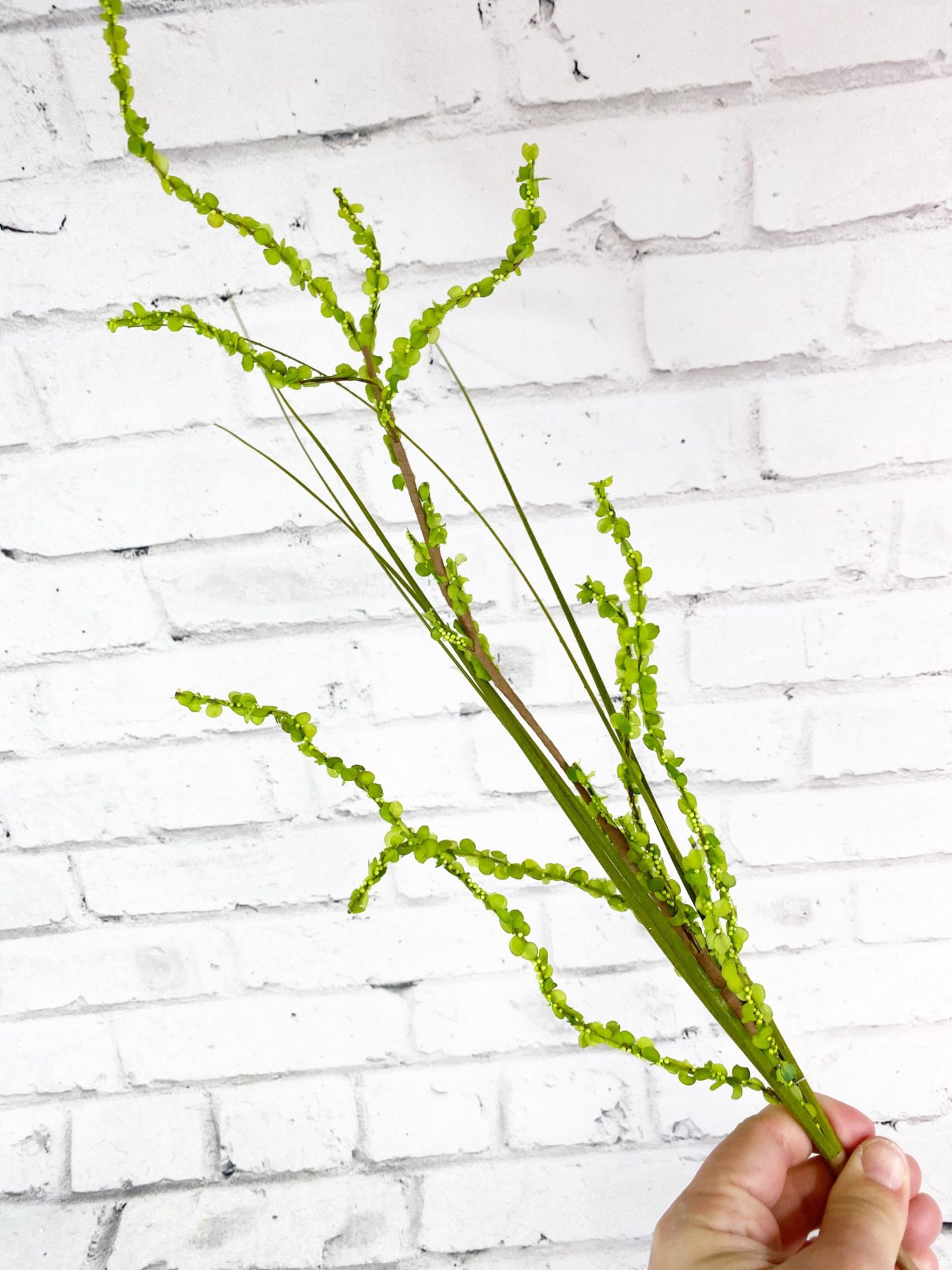 Green Twig Stem - Kelea's Florals