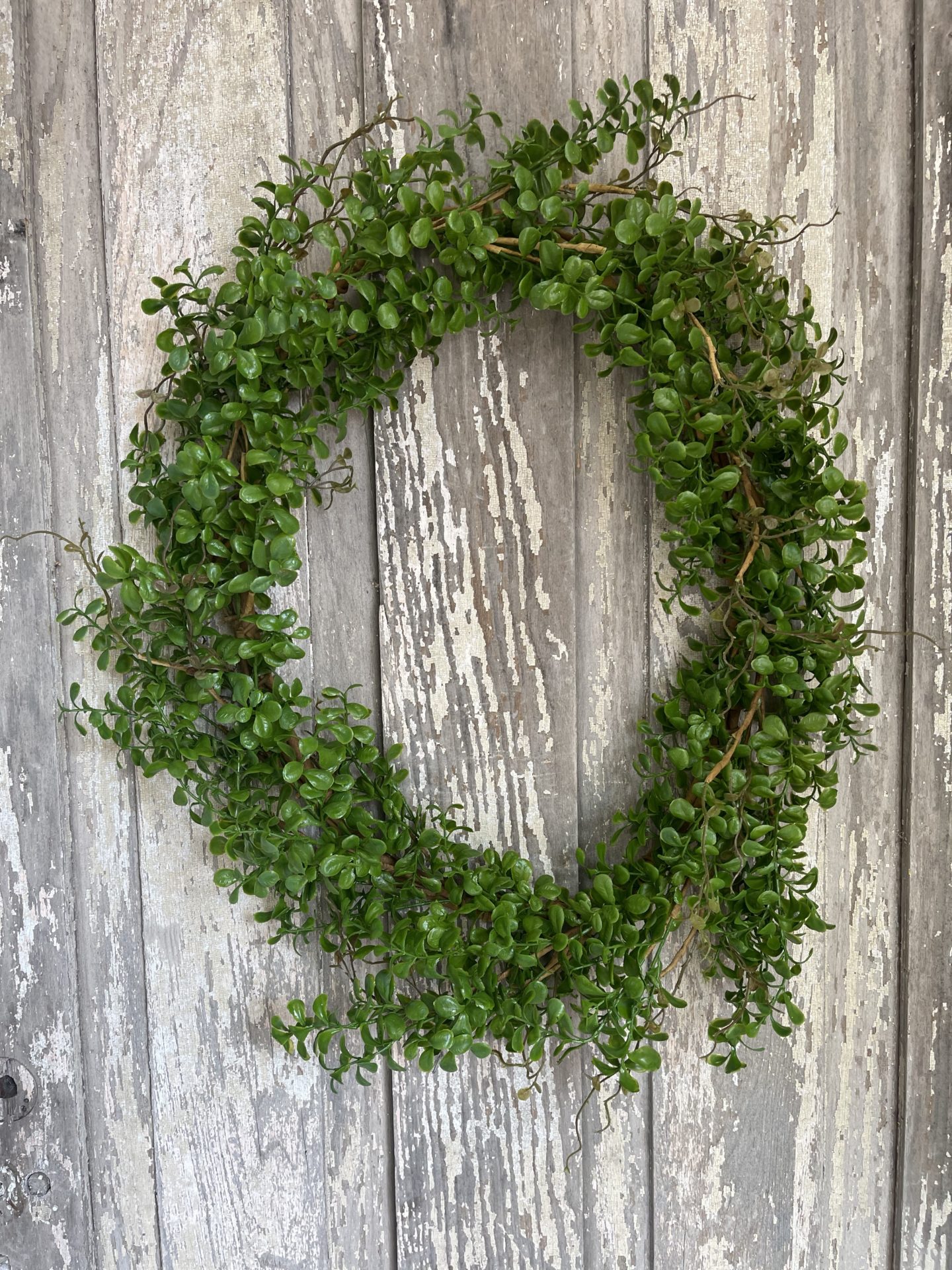 Eucalyptus Oval Wreath Base - Kelea's Florals