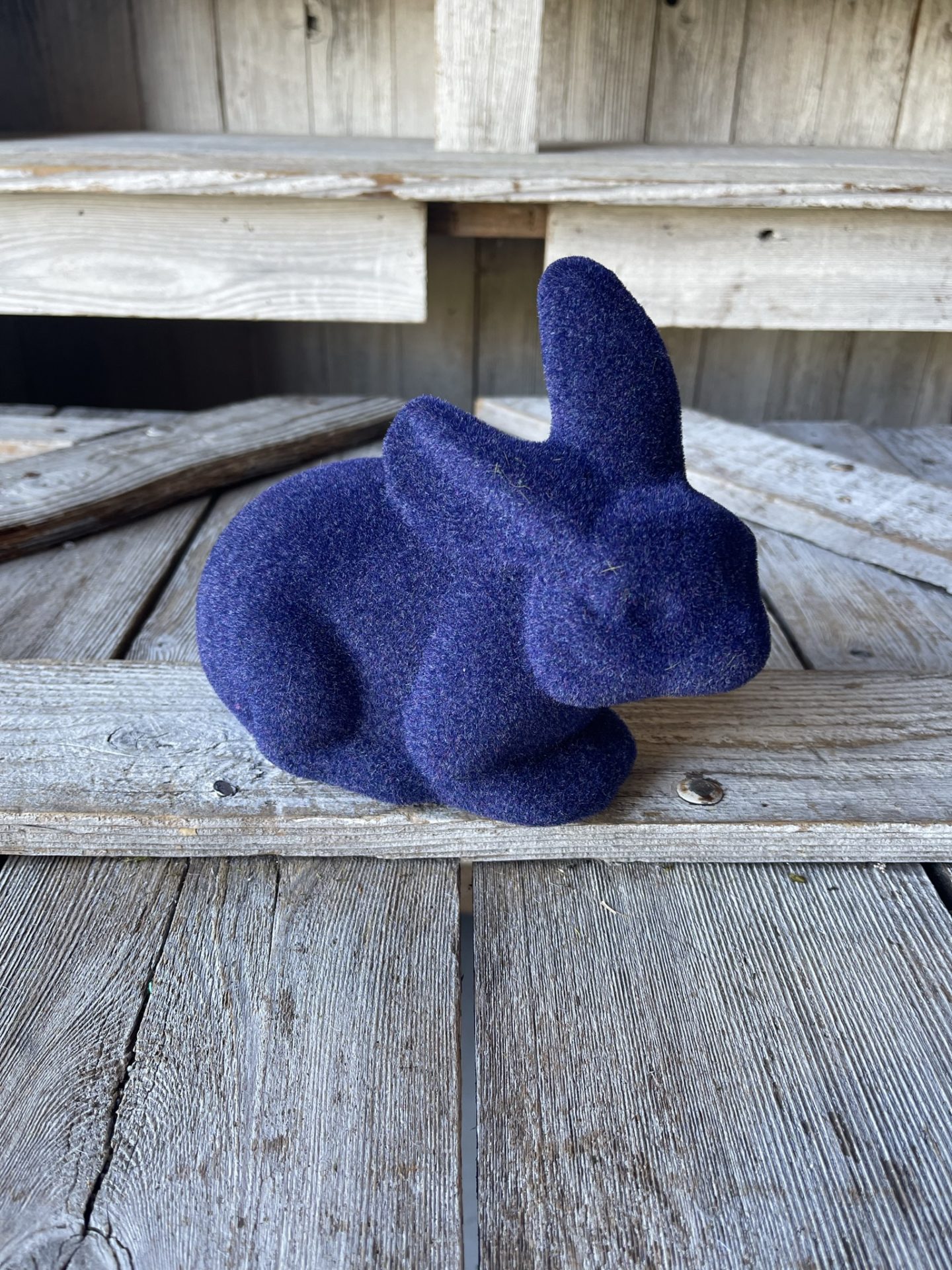 Small Rabbit Blue - Kelea's Florals