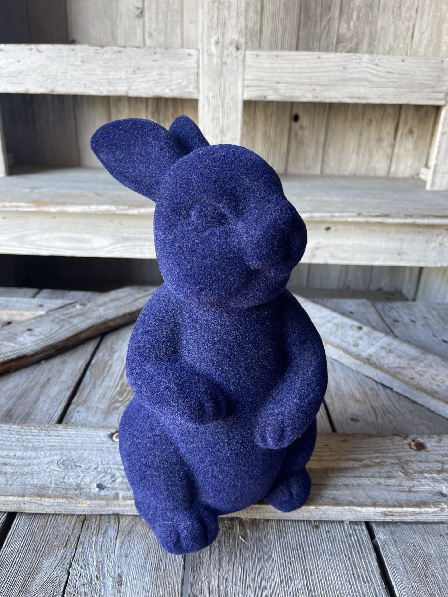 Big Rabbit Royal Blue - Kelea's Florals