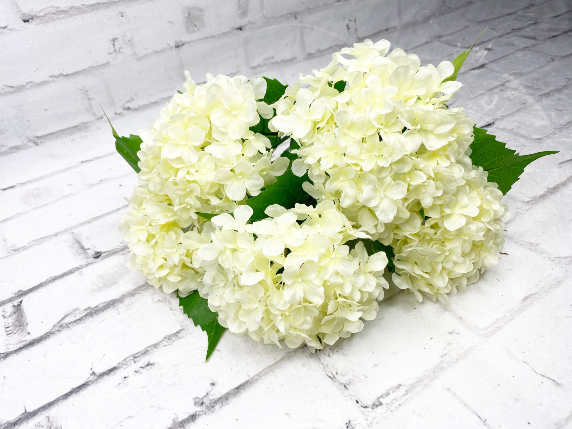 Cream Hydrangea Bush - Kelea's Florals