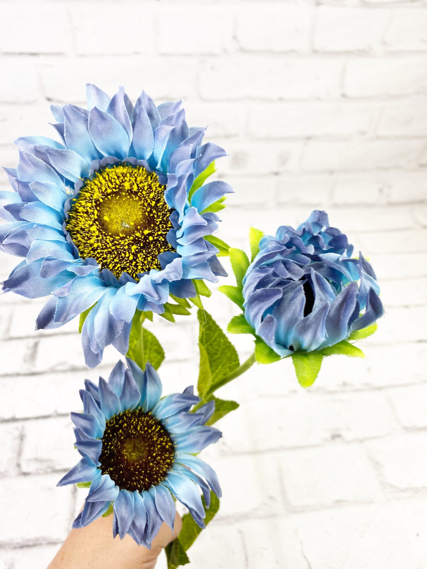 Blue Sunflower Stem - Kelea's Florals