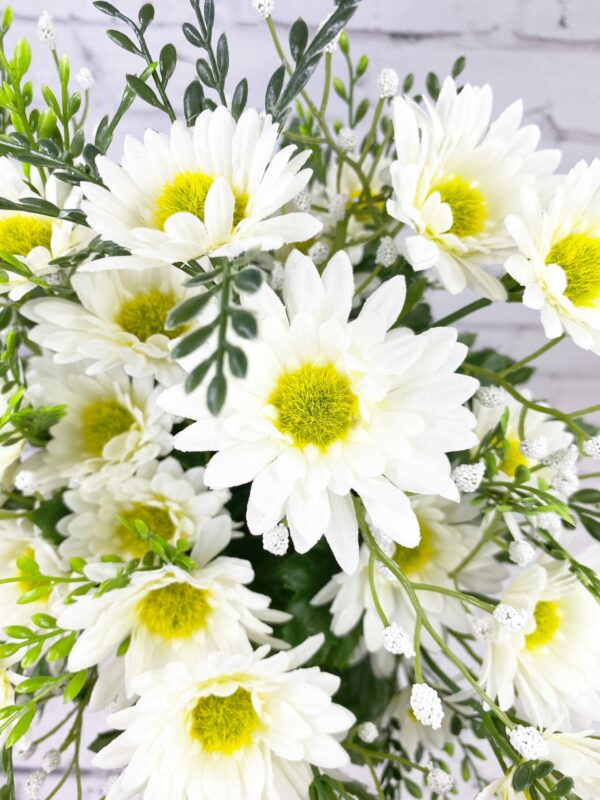 White Mini Daisy Bush - Kelea's Florals