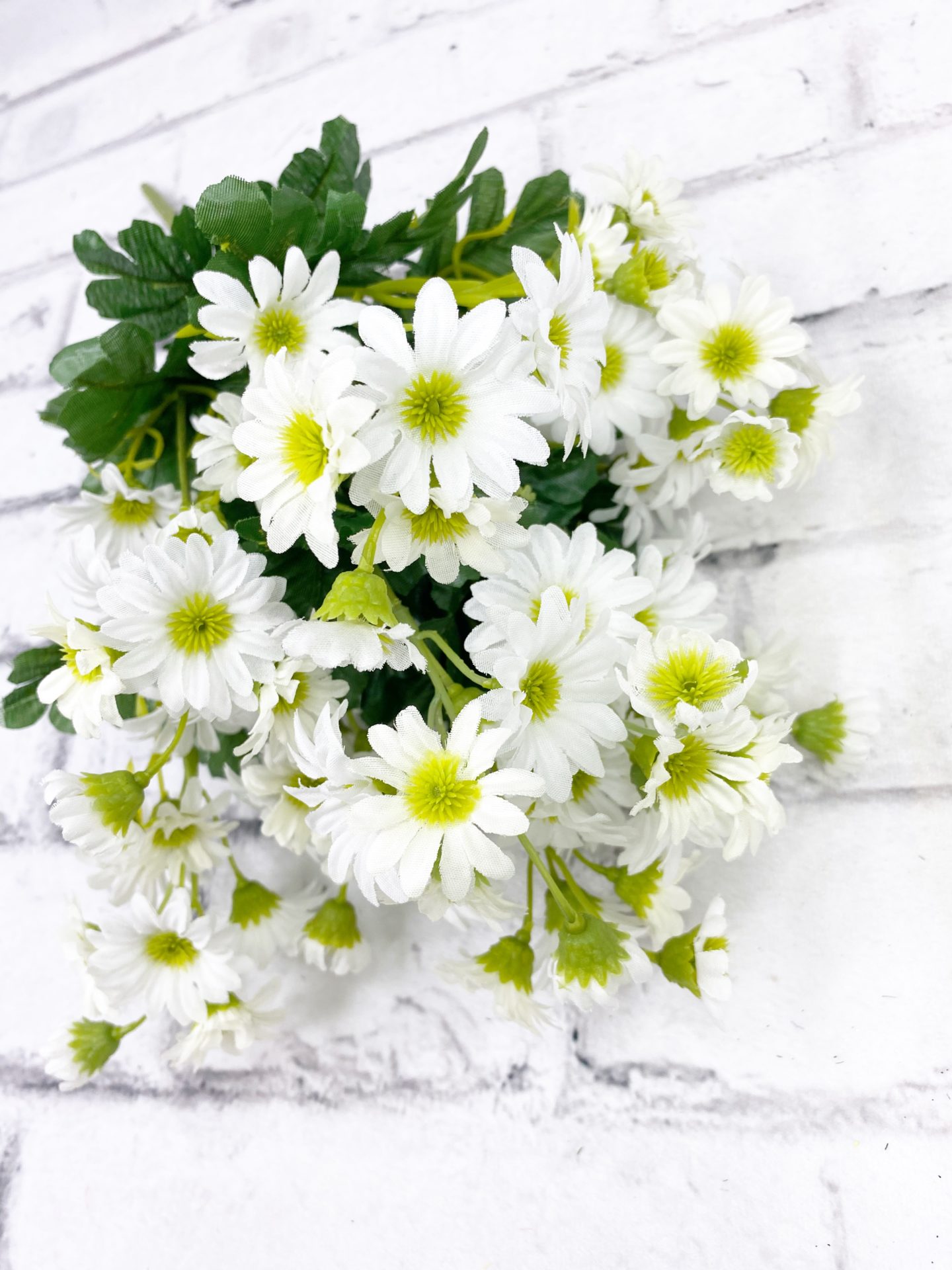 White Mini Daisy Bush - Kelea's Florals